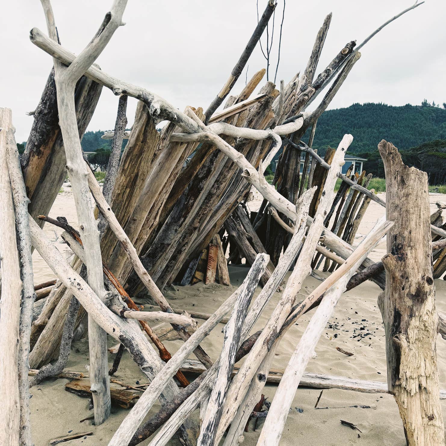 Barview Jetty County Campground | Rockaway Beach, Oregon