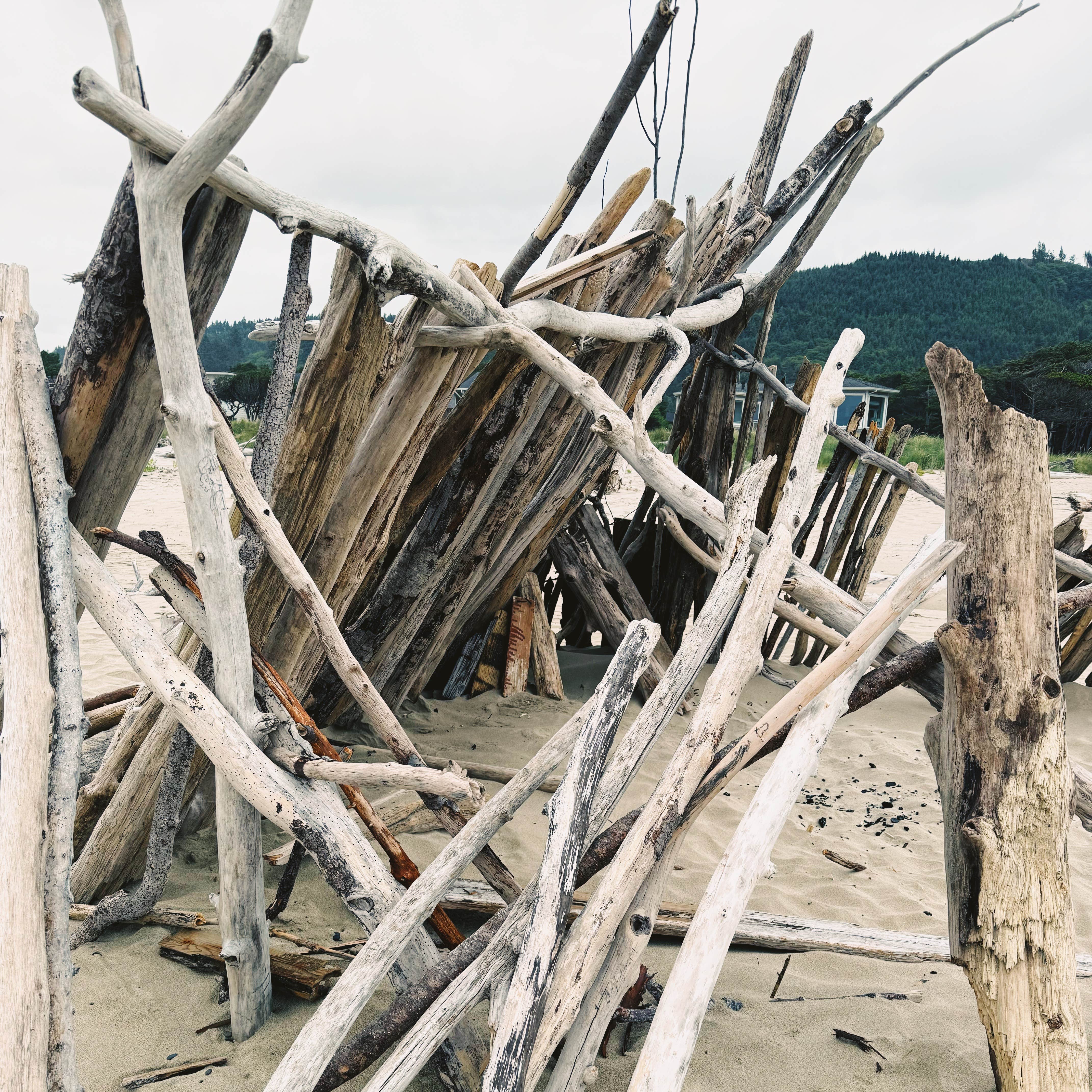Barview Jetty County Campground | Rockaway Beach, Oregon