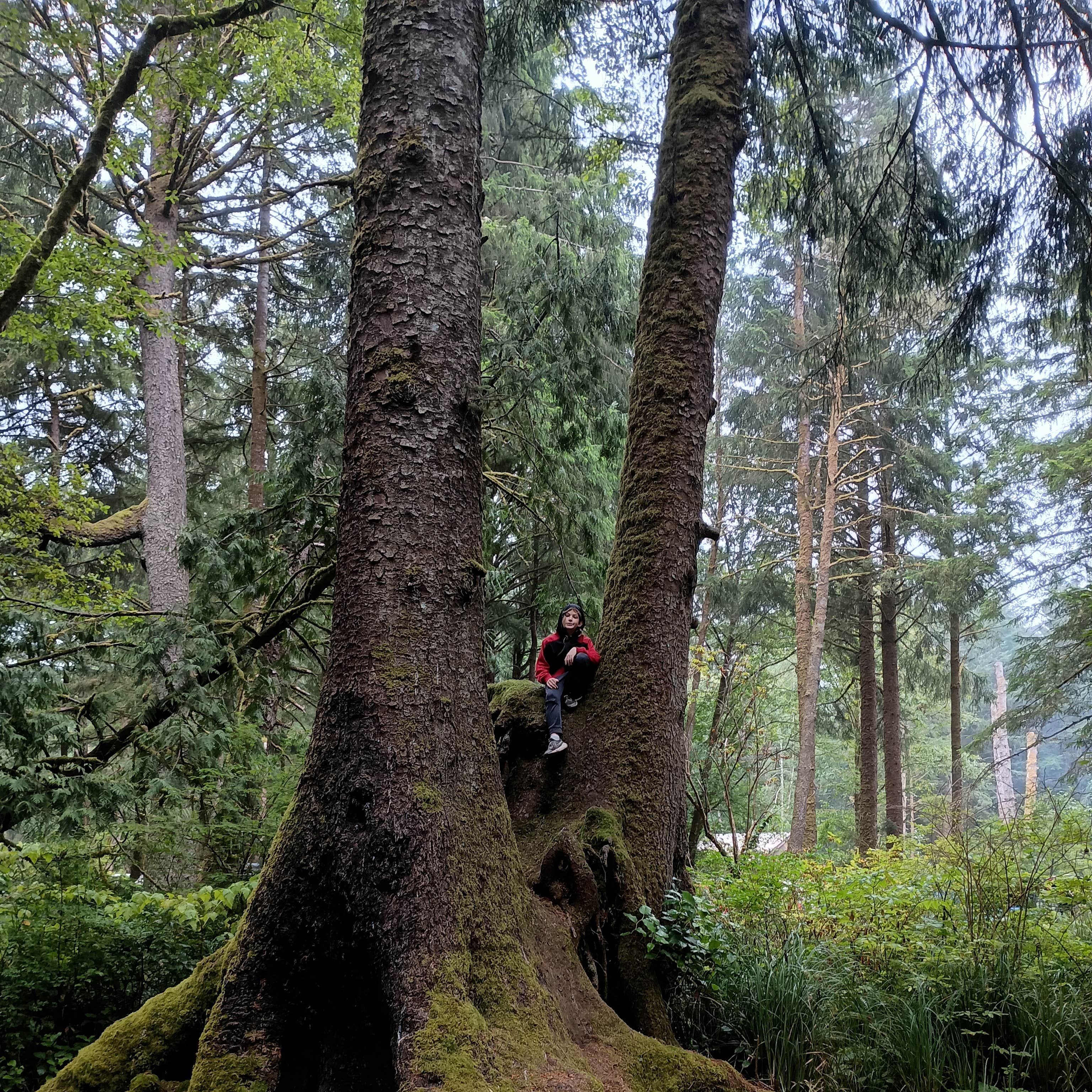Beverly Beach State Park Campground | Otter Rock, Oregon