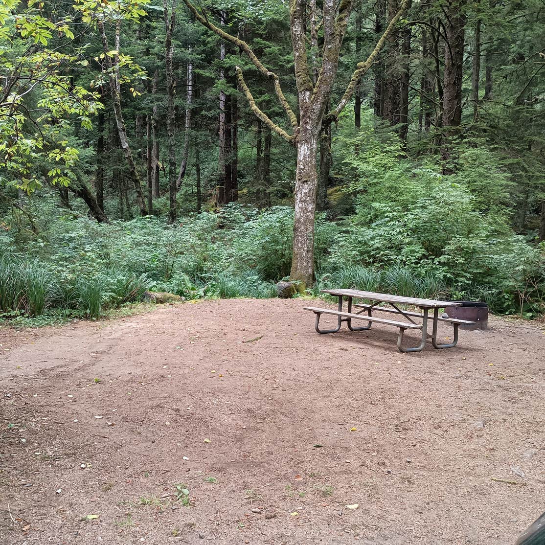 Beverly Beach State Park Campground | Otter Rock, Oregon