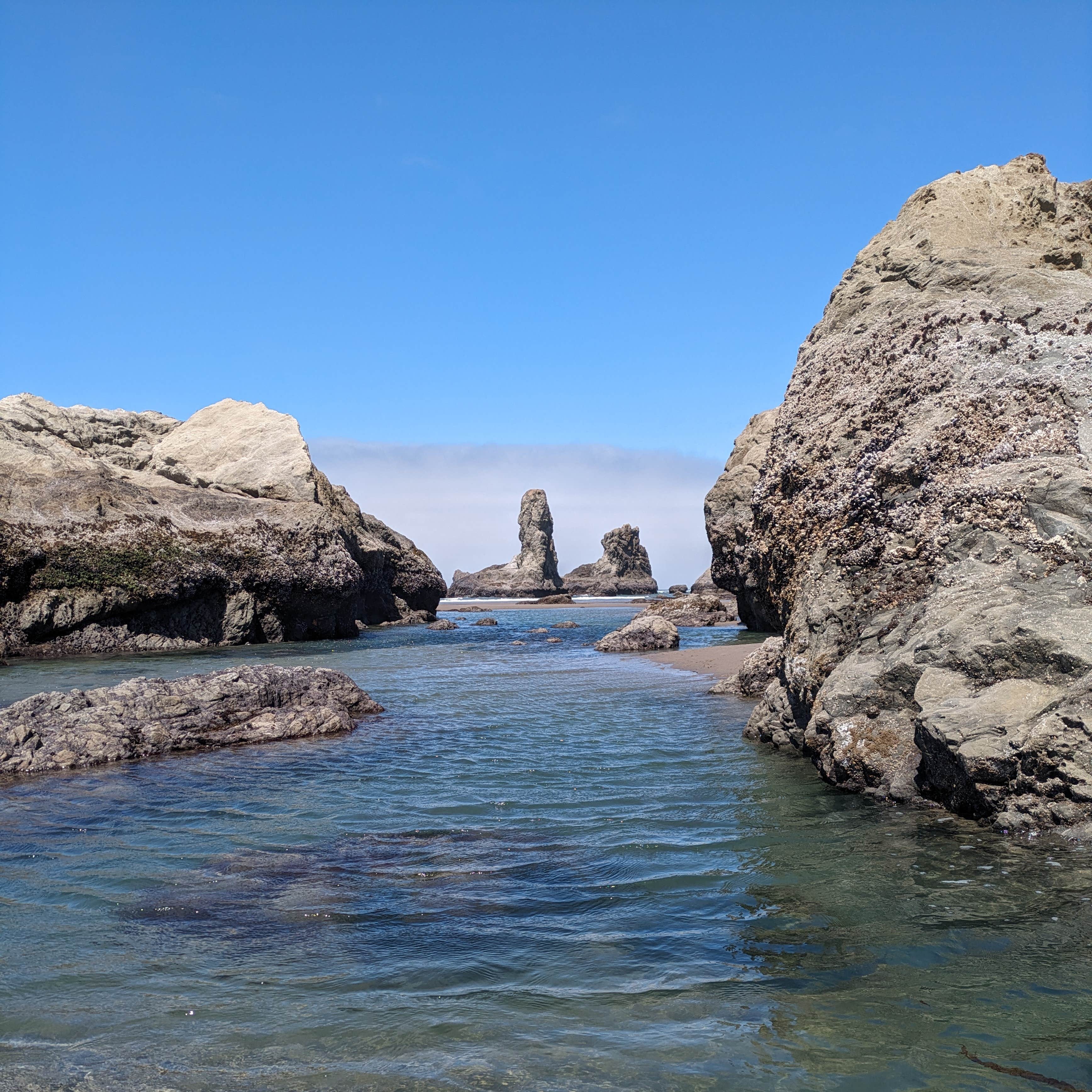 Bullards Beach State Park Campground | Bandon, Oregon