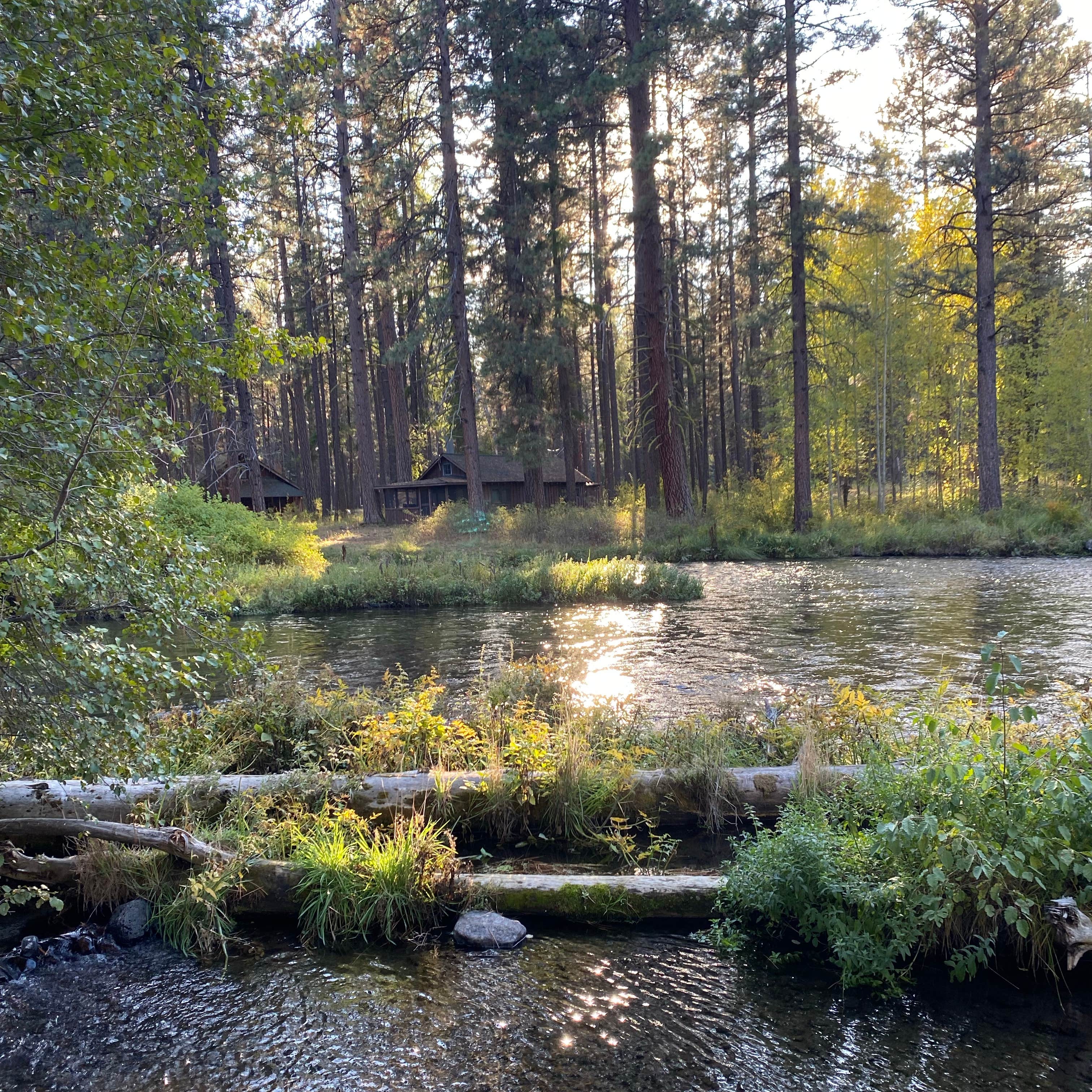 Camp Sherman Campground | Camp Sherman, Oregon
