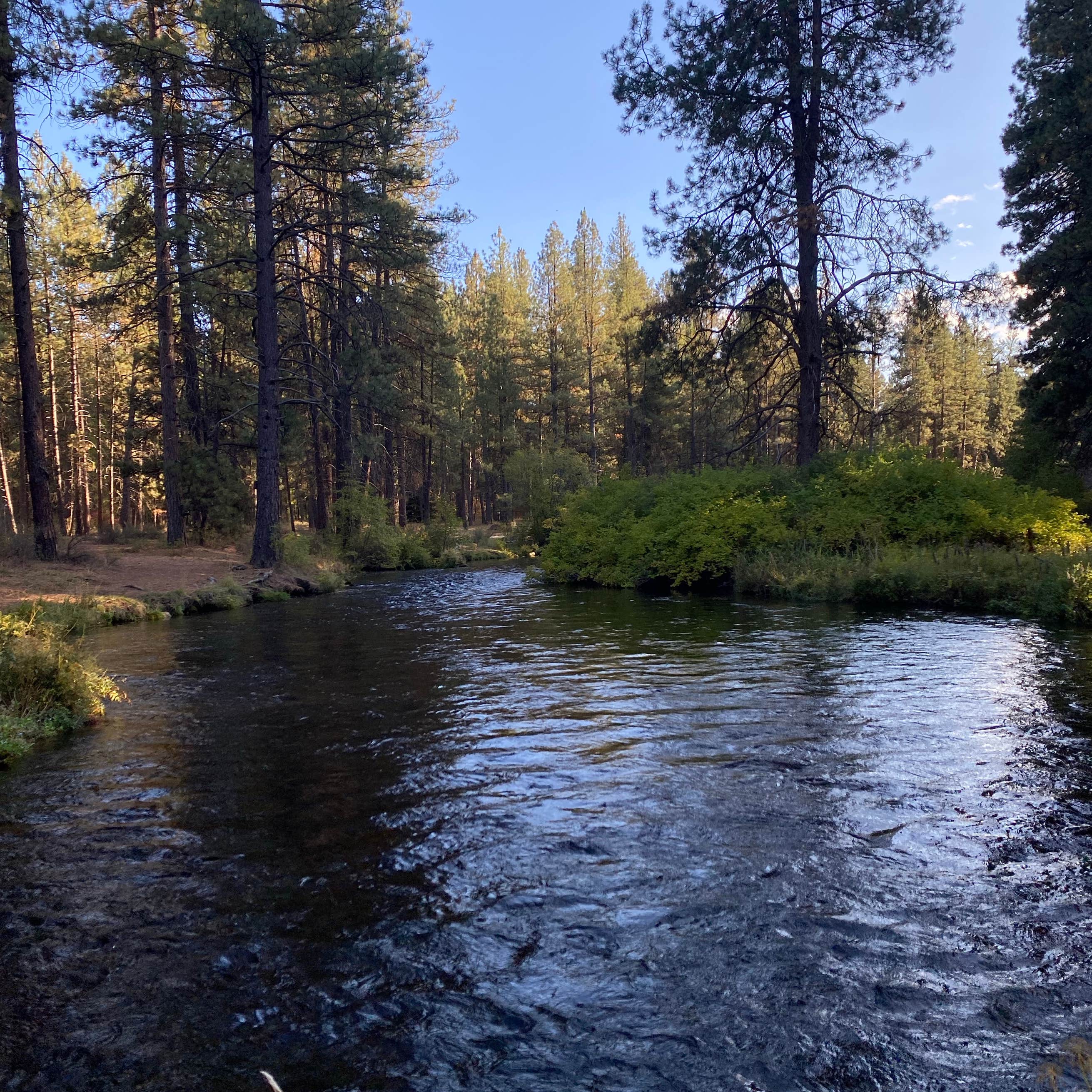 Camp Sherman Campground | Camp Sherman, Oregon