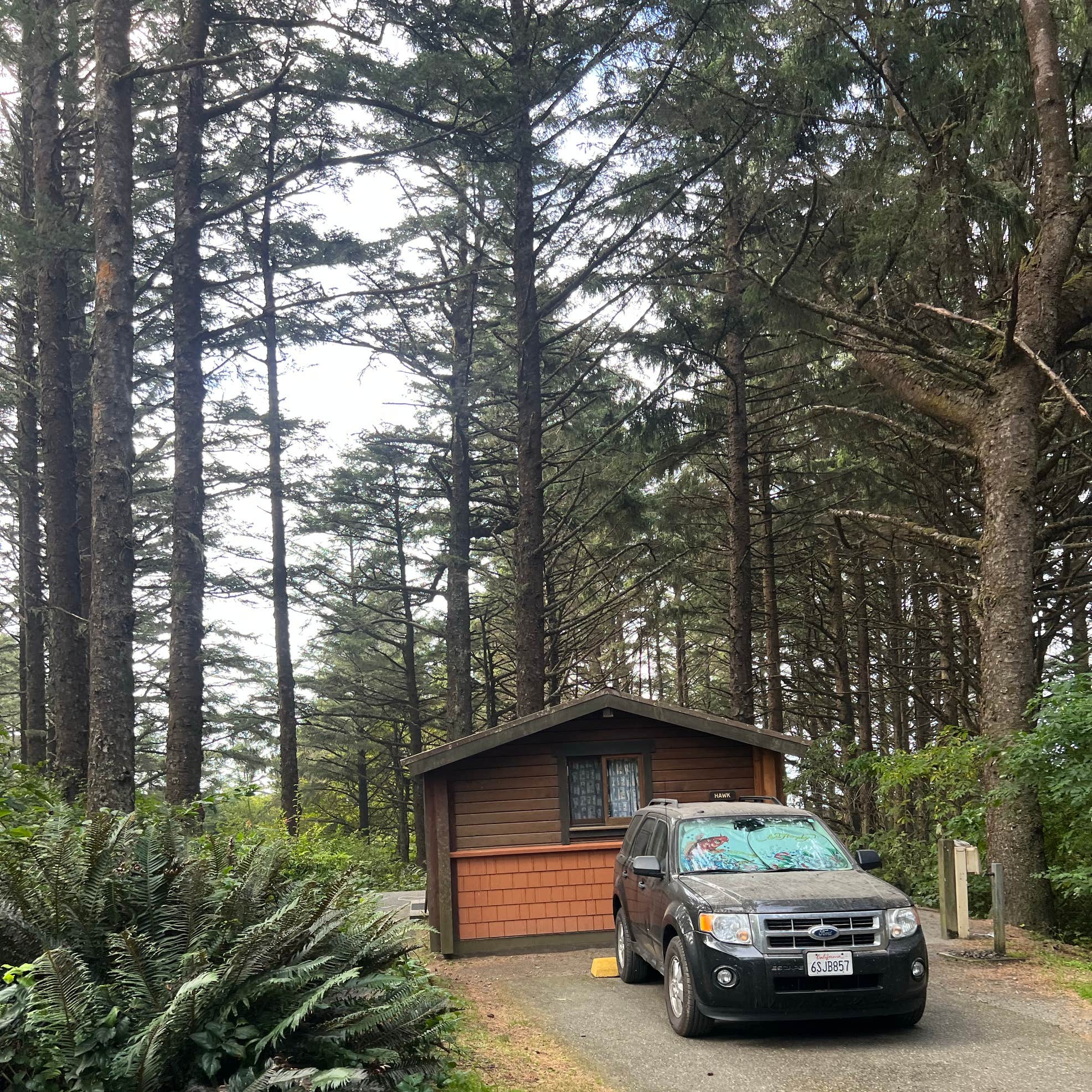 Cape Blanco State Park Campground | Sixes, Oregon