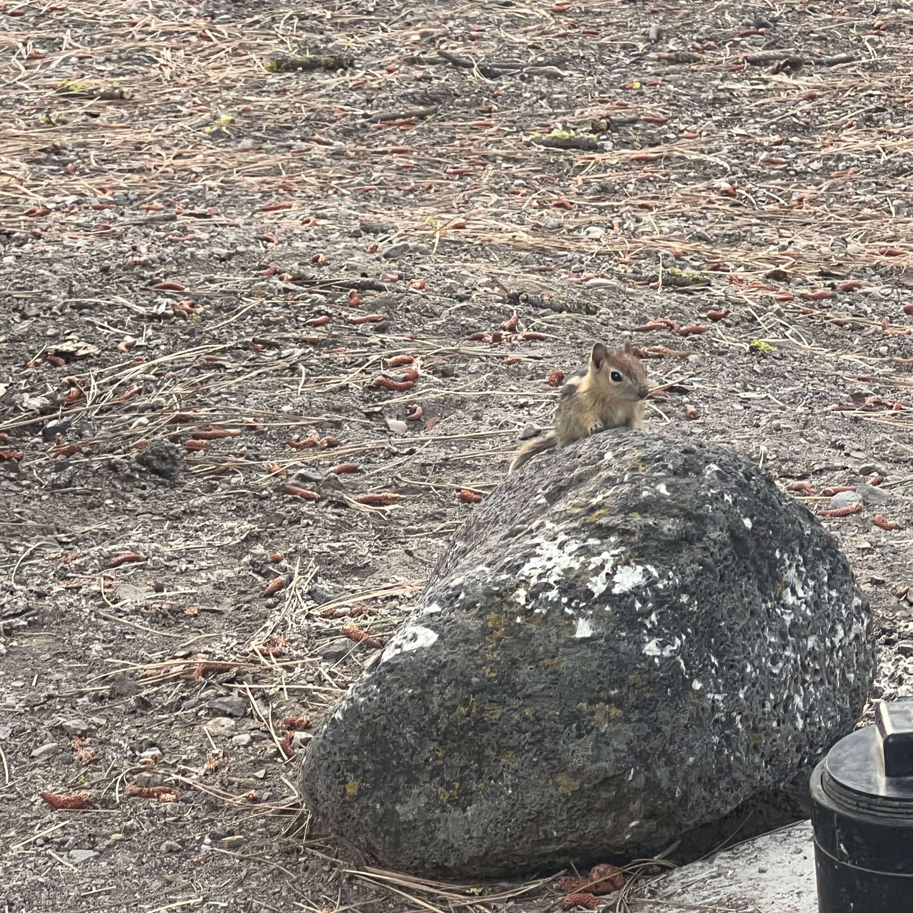 Collier Memorial State Park Campground | Chiloquin, OR
