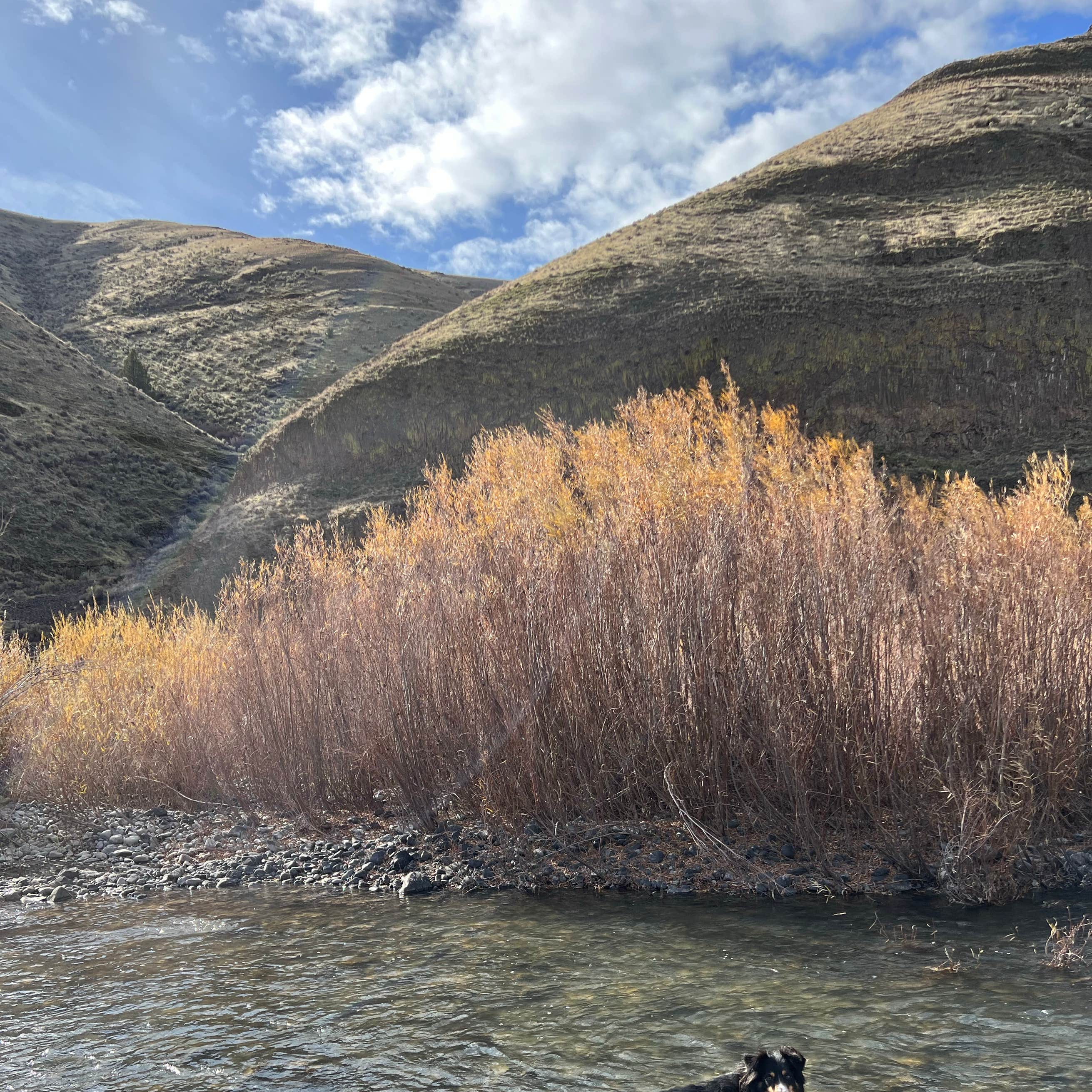 Lone Tree Campground — Cottonwood Canyon State Park | Mikkalo, Oregon