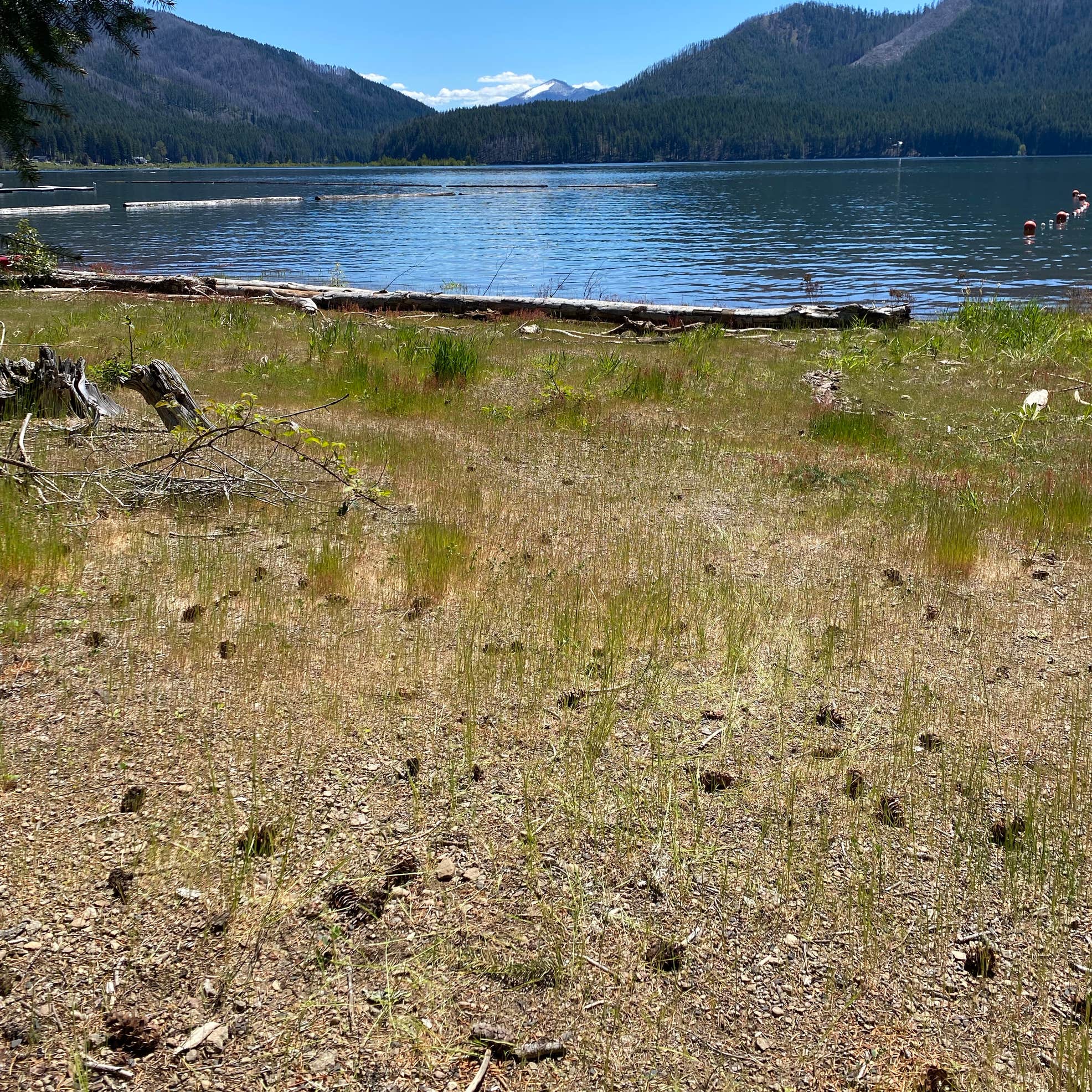 Detroit Lake State Recreation Area Campground | Detroit, Oregon