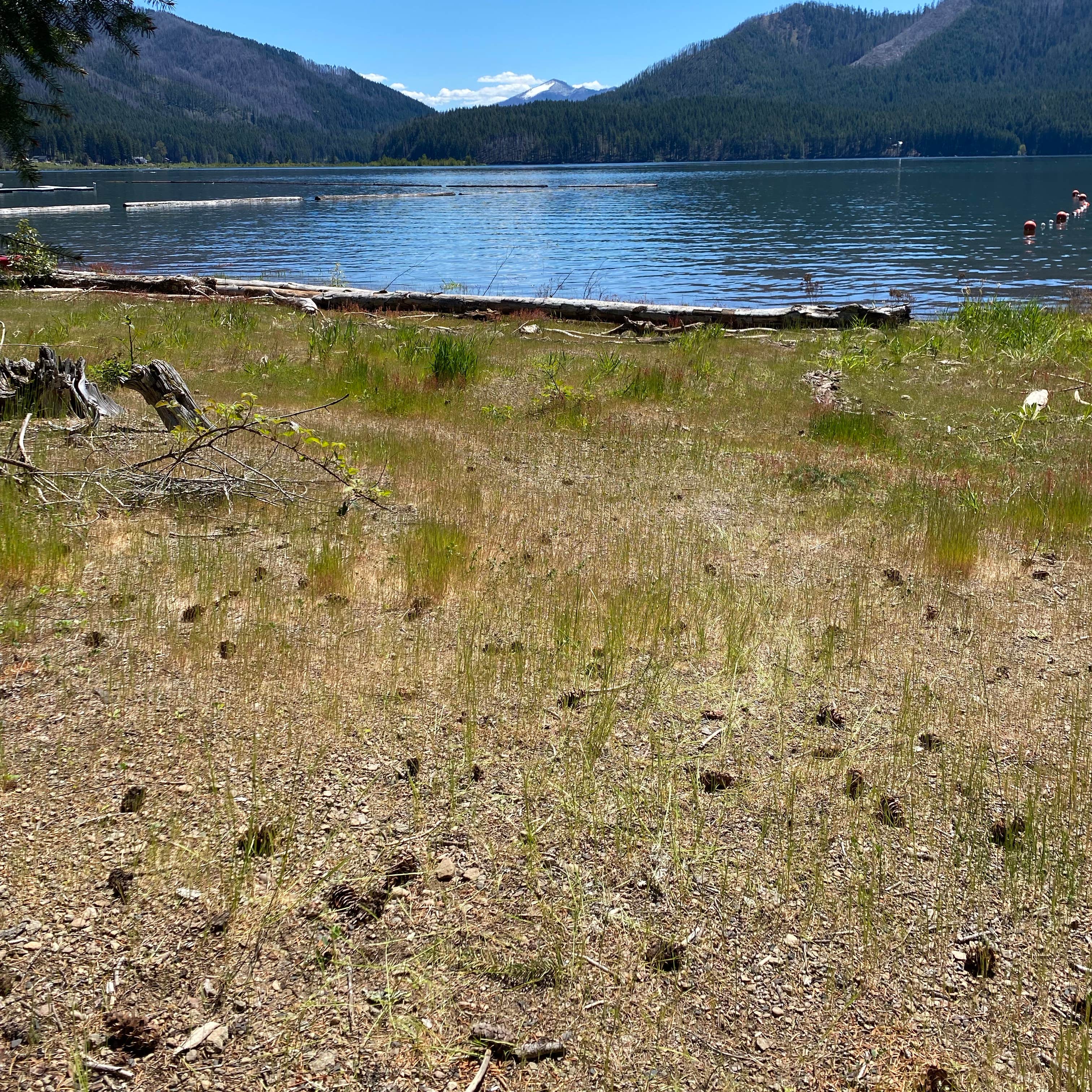 Detroit Lake State Recreation Area Campground | Detroit, Oregon