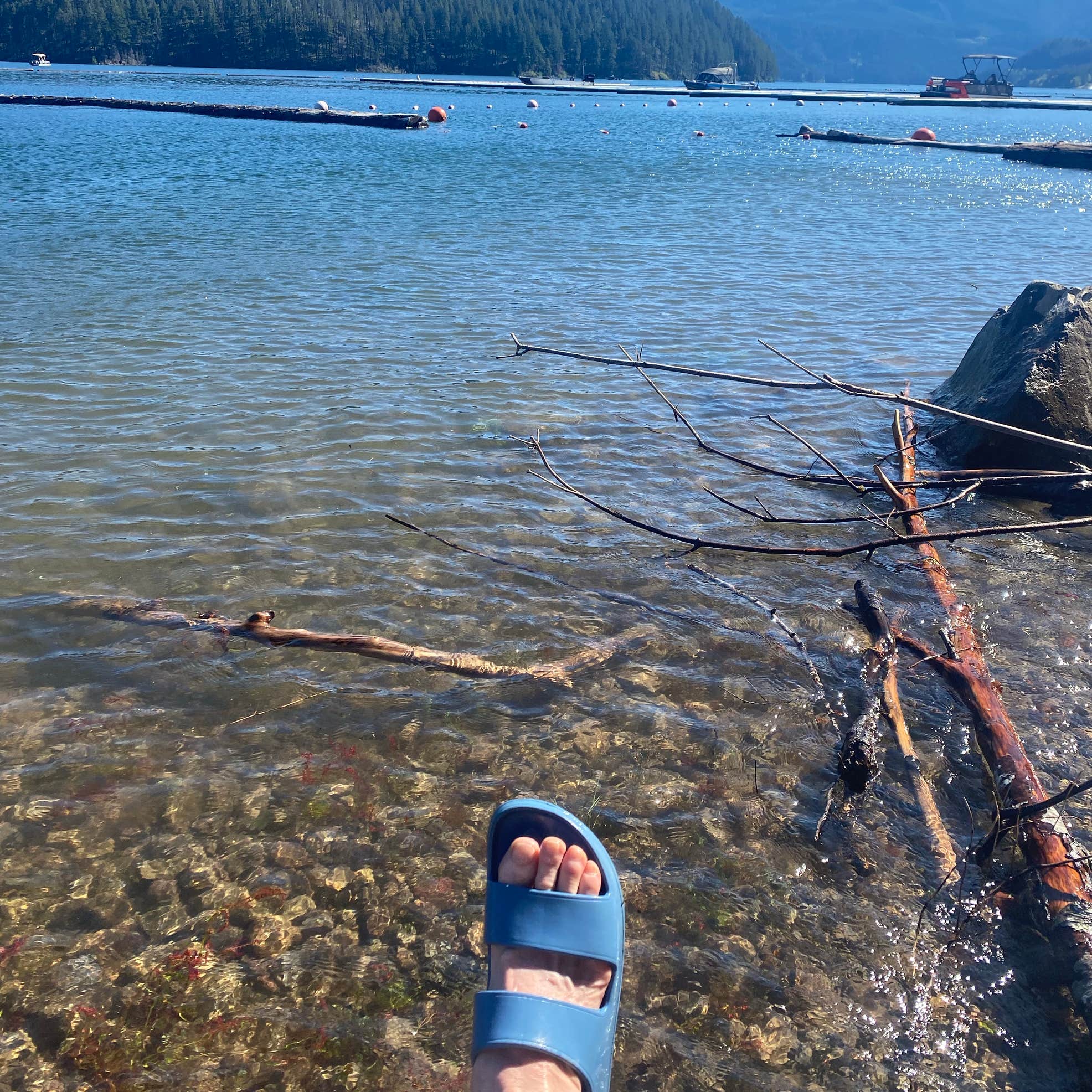 Detroit Lake State Recreation Area Campground | Detroit, Oregon