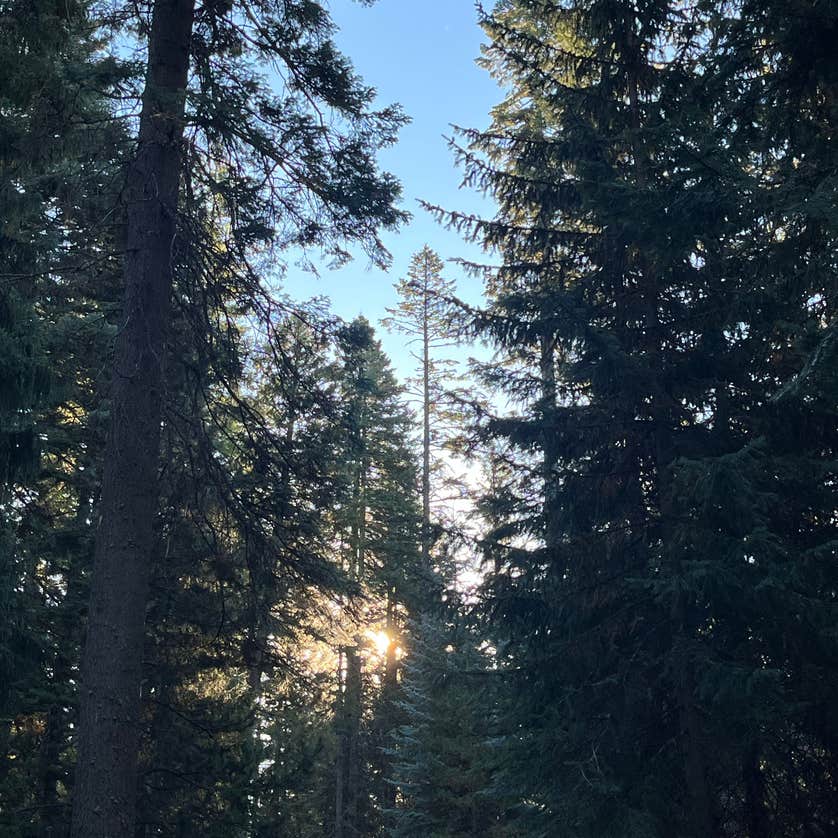 Emigrant Springs State Heritage Area Camping | Meacham, Oregon