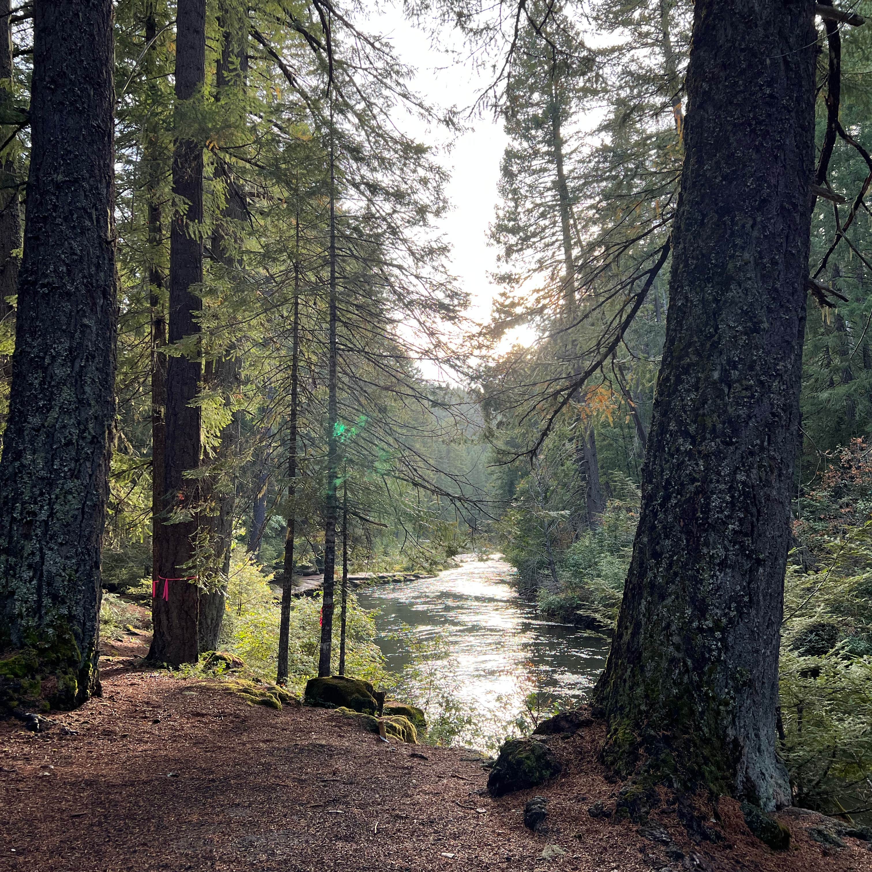 Farewell Bend Campground | Prospect, Oregon