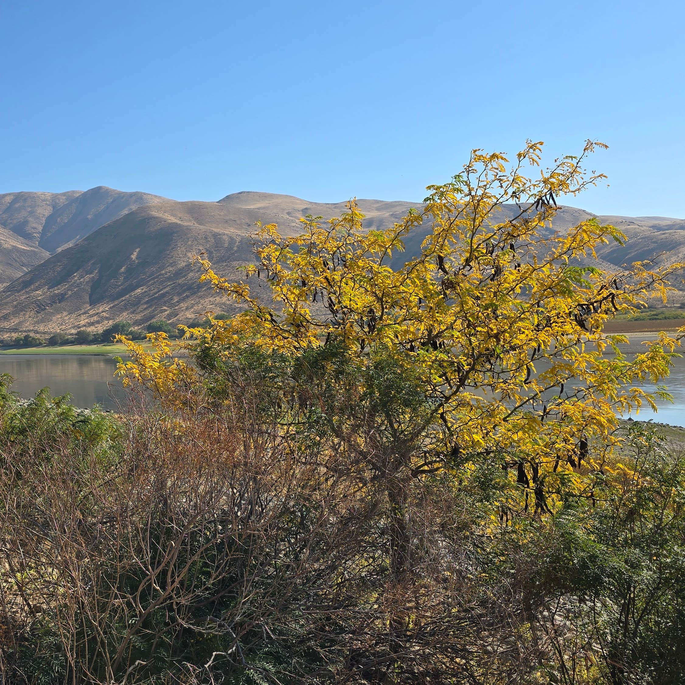 Farewell Bend State Recreation Area Campground | Huntington, Oregon