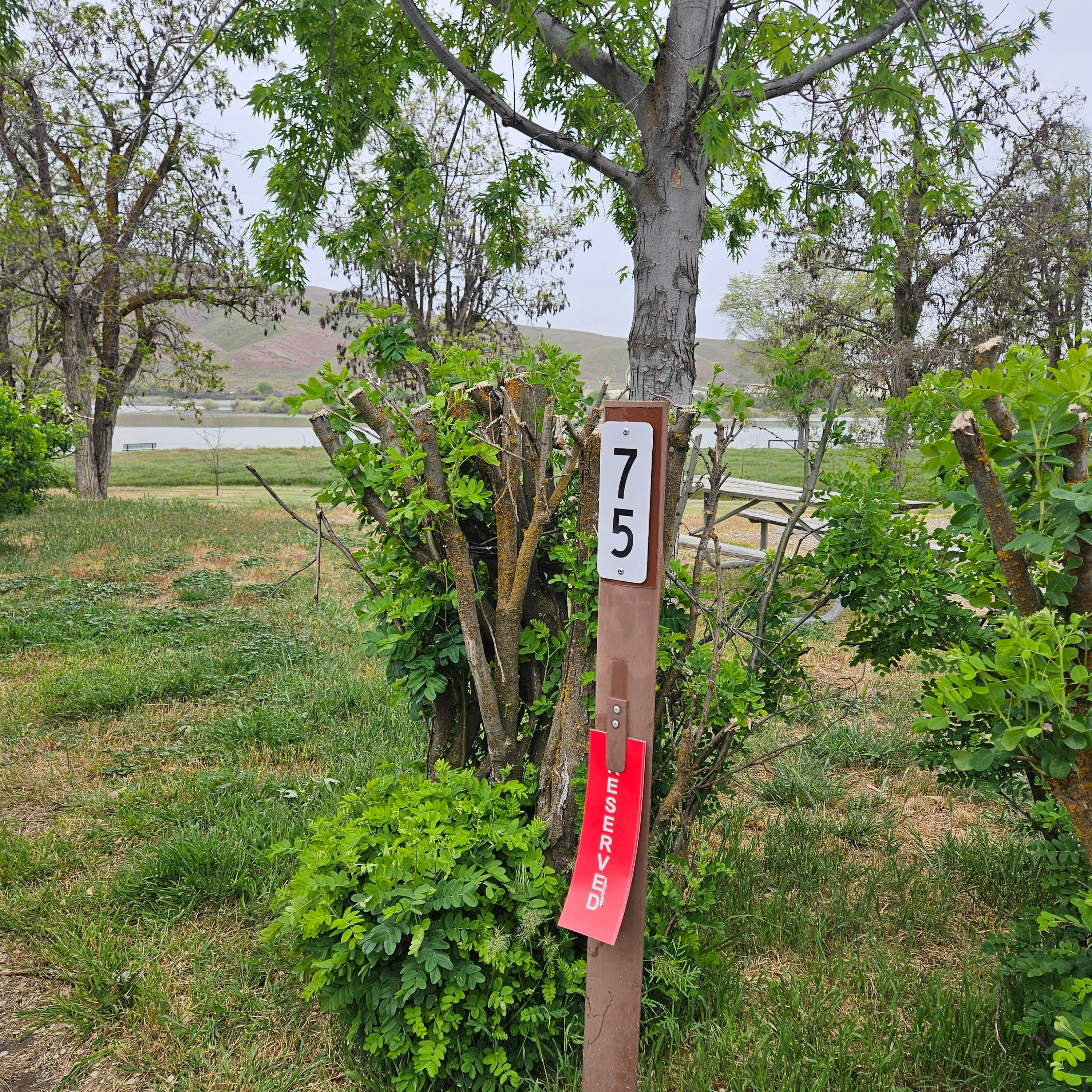Farewell Bend State Recreation Area Camping | Huntington, Oregon