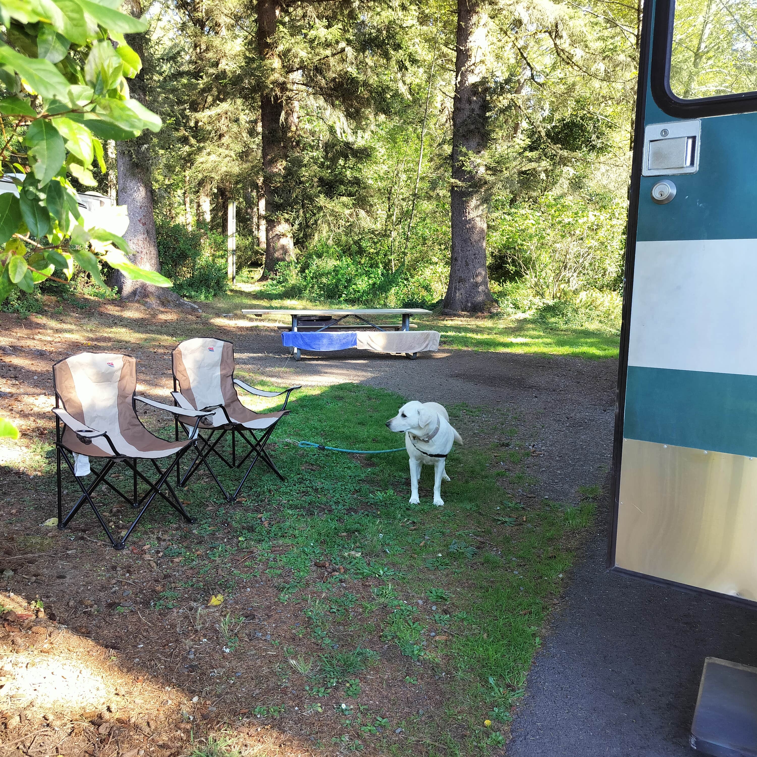 Harris Beach State Park Campground | Brookings, Oregon