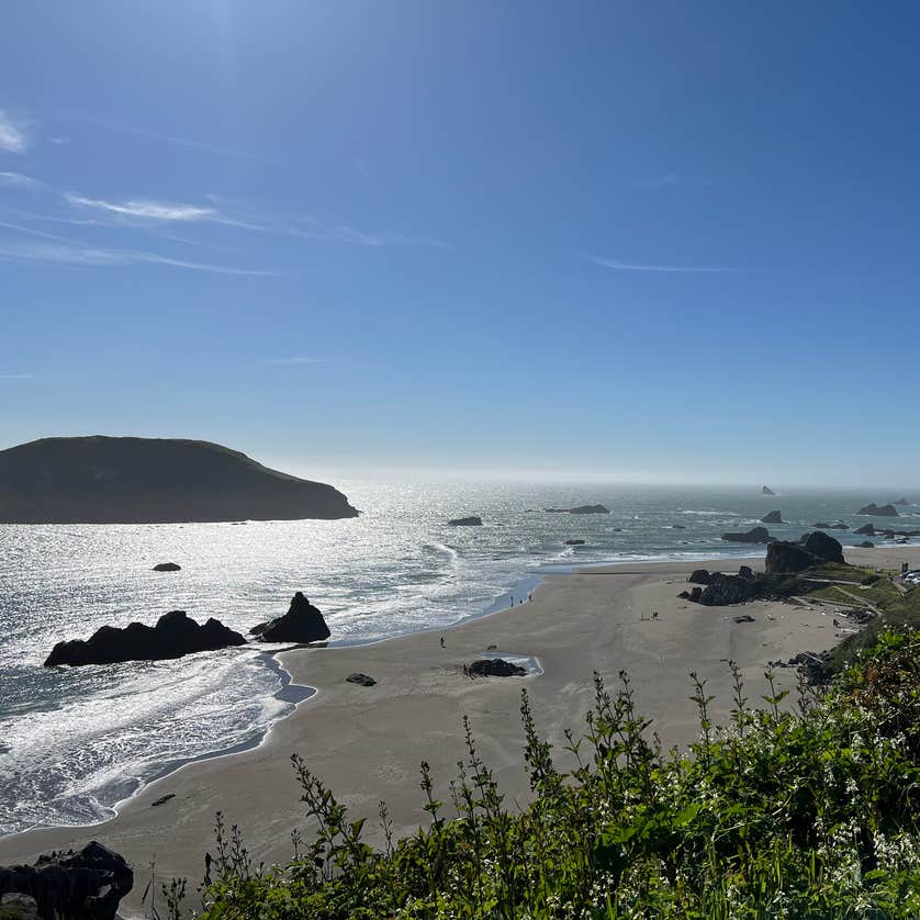 Harris Beach State Park Campground | Brookings, OR