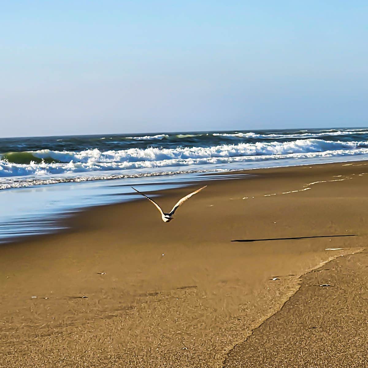 Horsfall Beach Camping | North Bend, OR