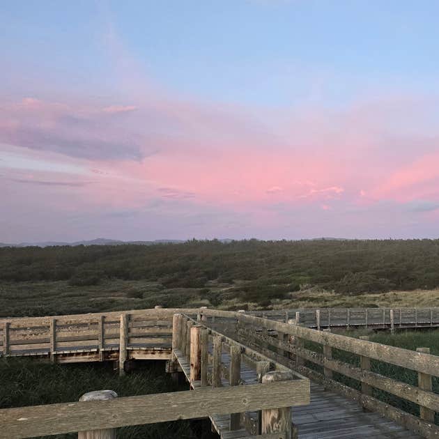 Horsfall Beach Camping | North Bend, Oregon