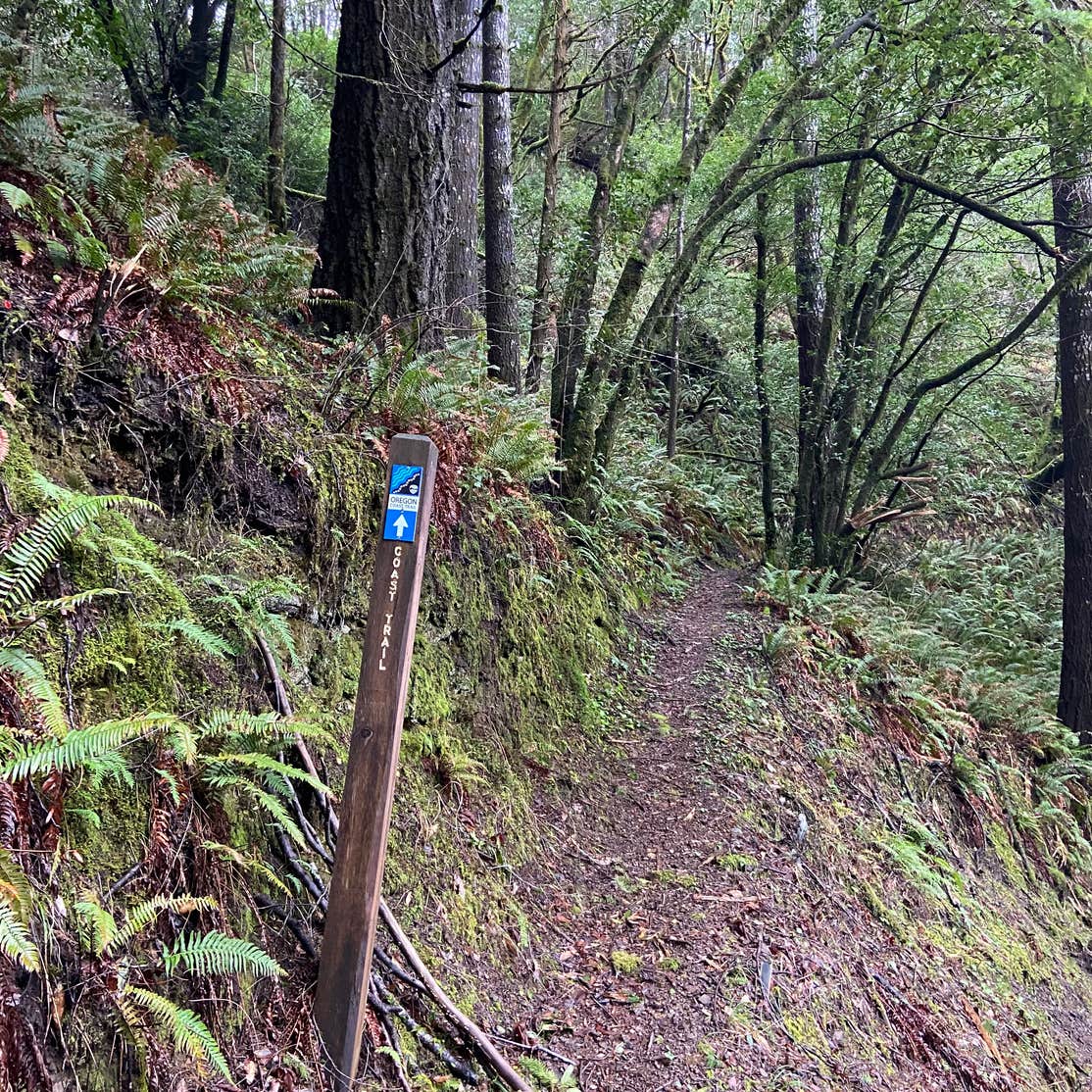Humbug Mountain State Park Campground | Port Orford, Oregon