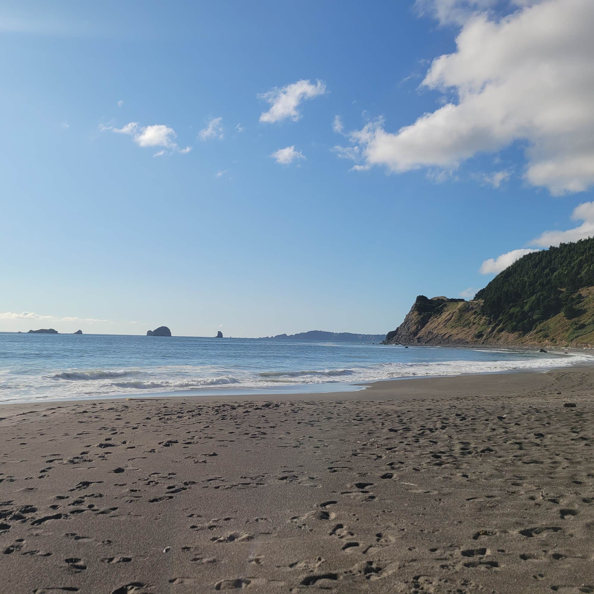 Humbug Mountain State Park Campground | Port Orford, Oregon