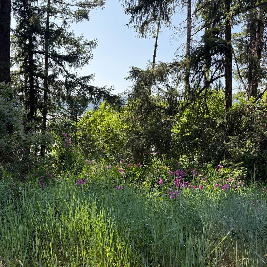 Joseph H. Stewart County Park Camping | Prospect, Oregon
