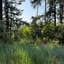 Joseph H. Stewart County Park Camping | Prospect, Oregon