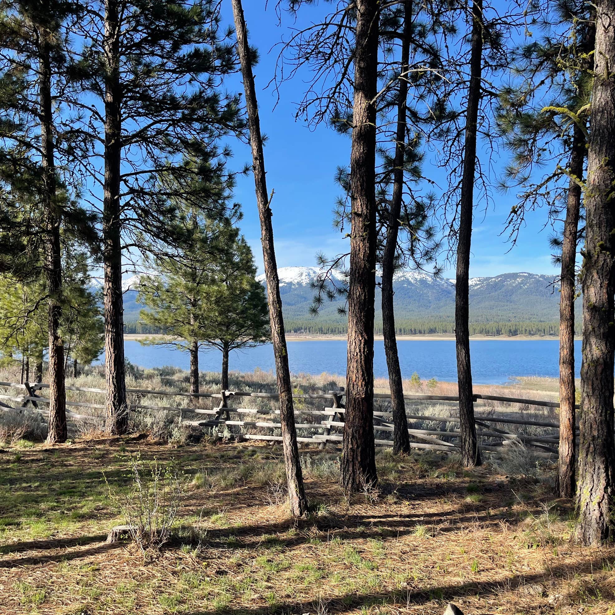 Millers Lane Camping | Sumpter, Oregon