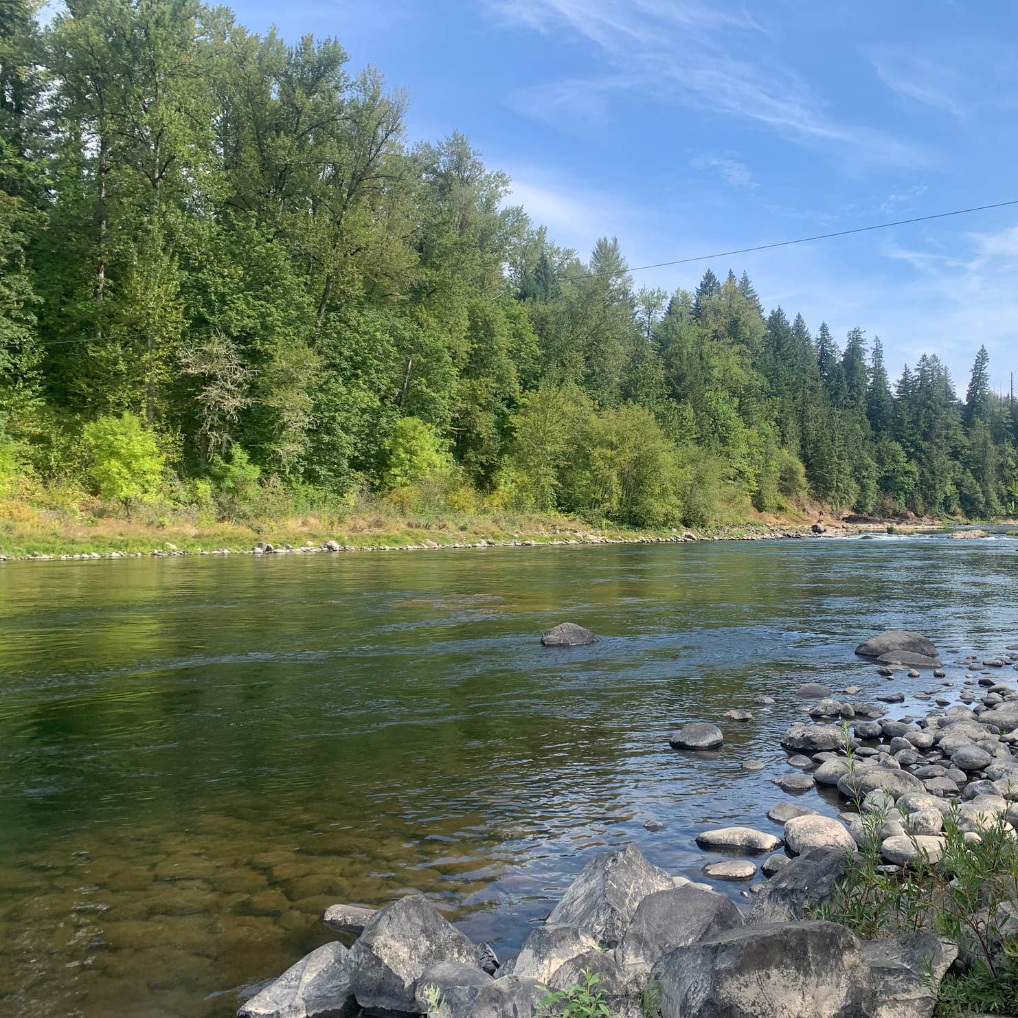 Milo McIver State Park Campground | Estacada, Oregon