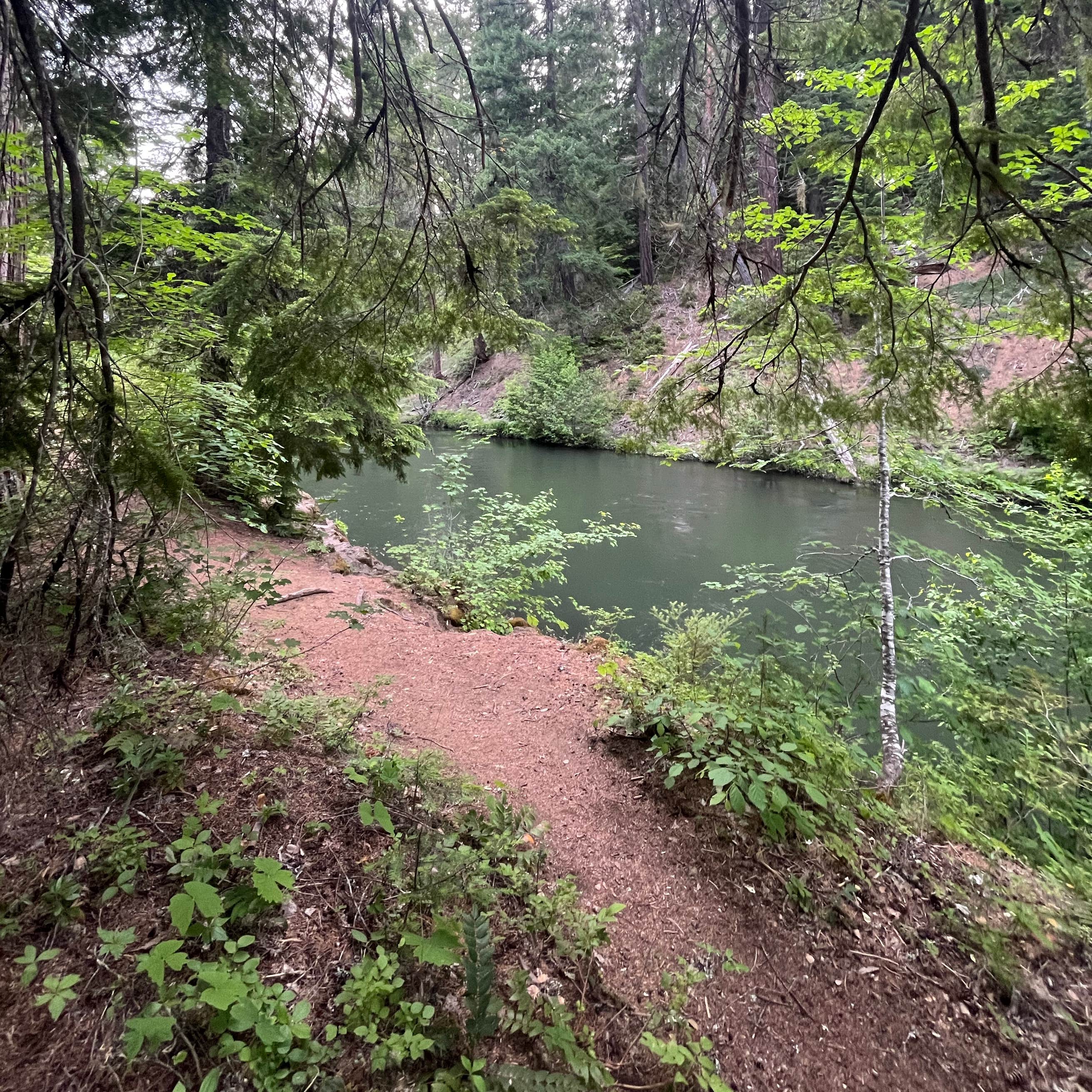 Natural Bridge Campground | Prospect, Oregon