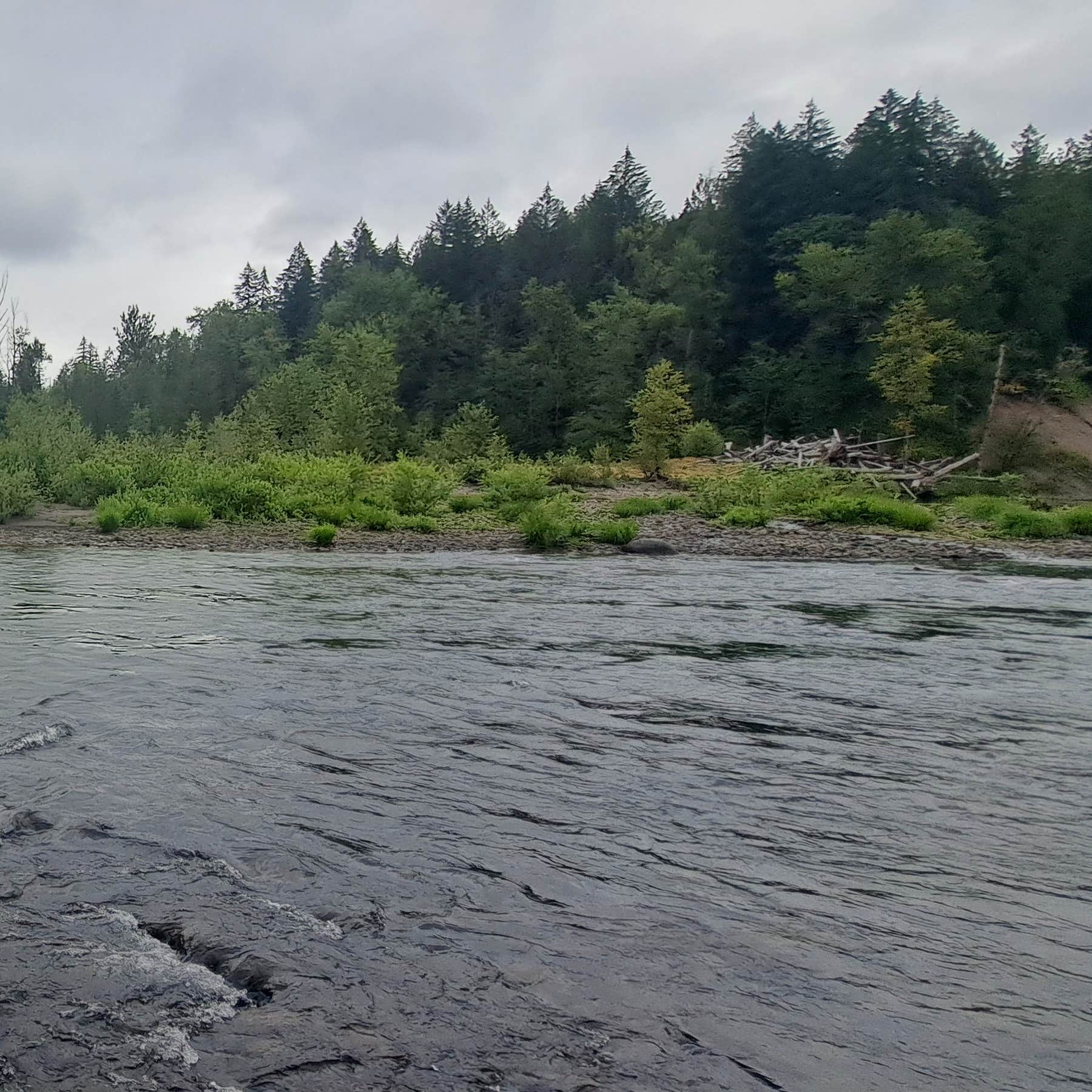 Oxbow Regional Park Camping | Gresham, OR