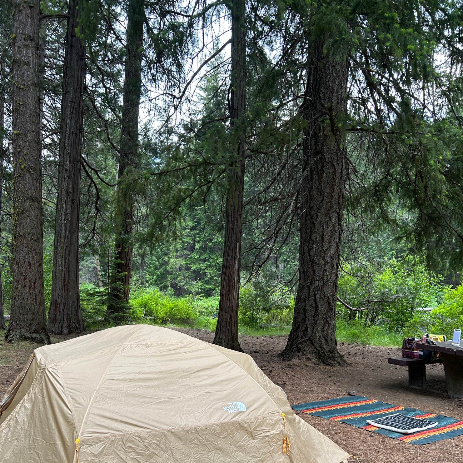 Pioneer Ford Campground | Camp Sherman, Oregon