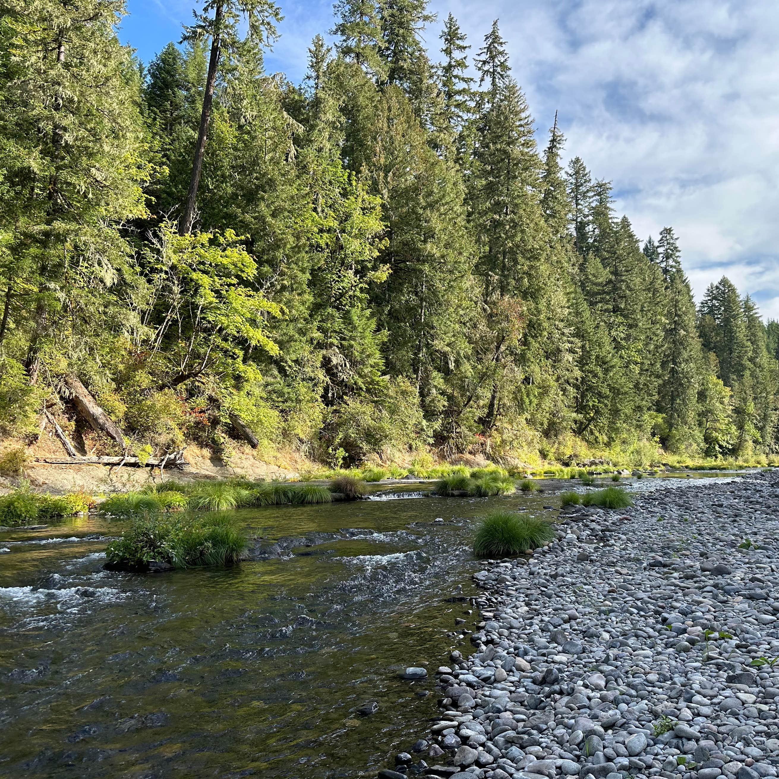 River Bend County Park Camping | Cascadia, Oregon