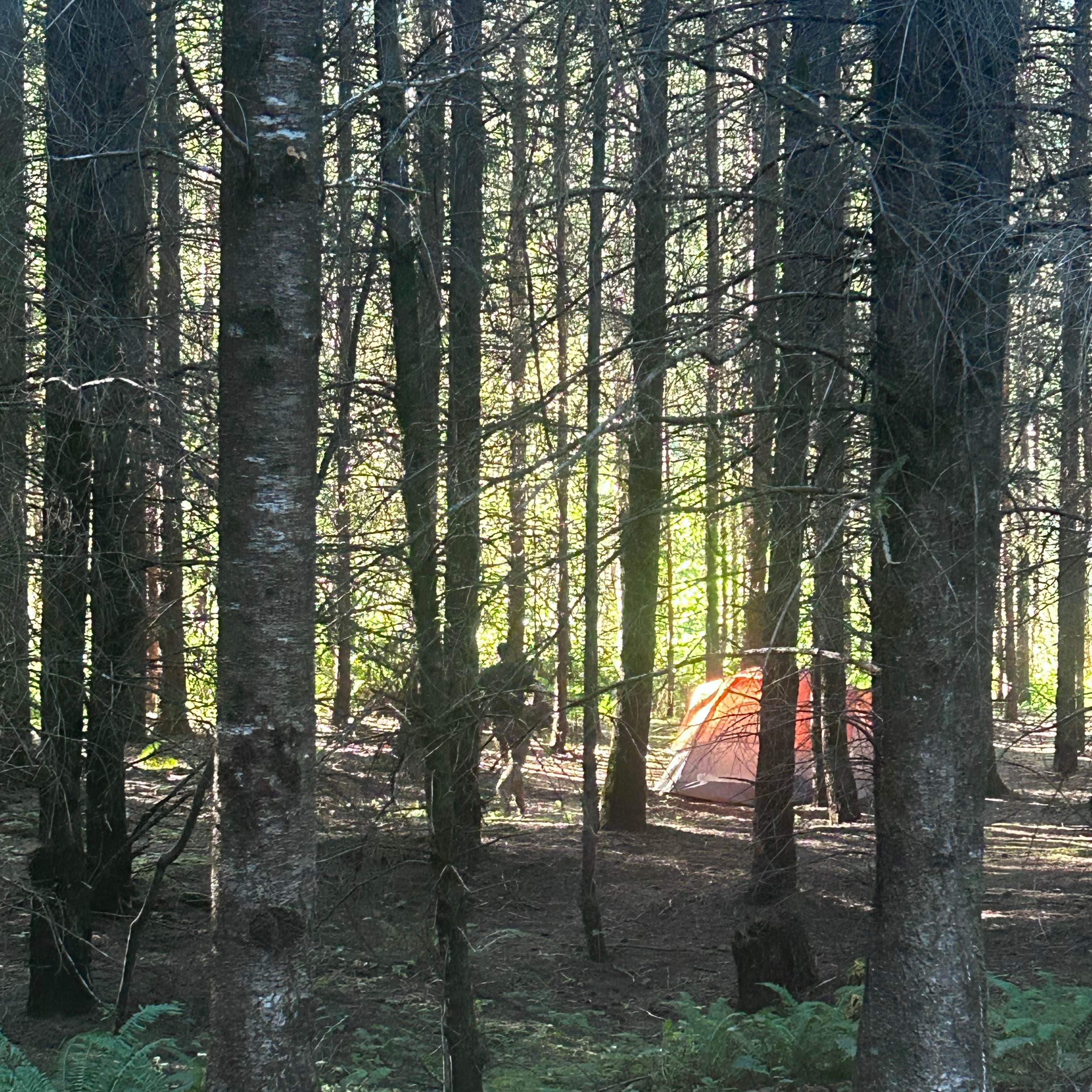 River Bend County Park Camping | Cascadia, Oregon