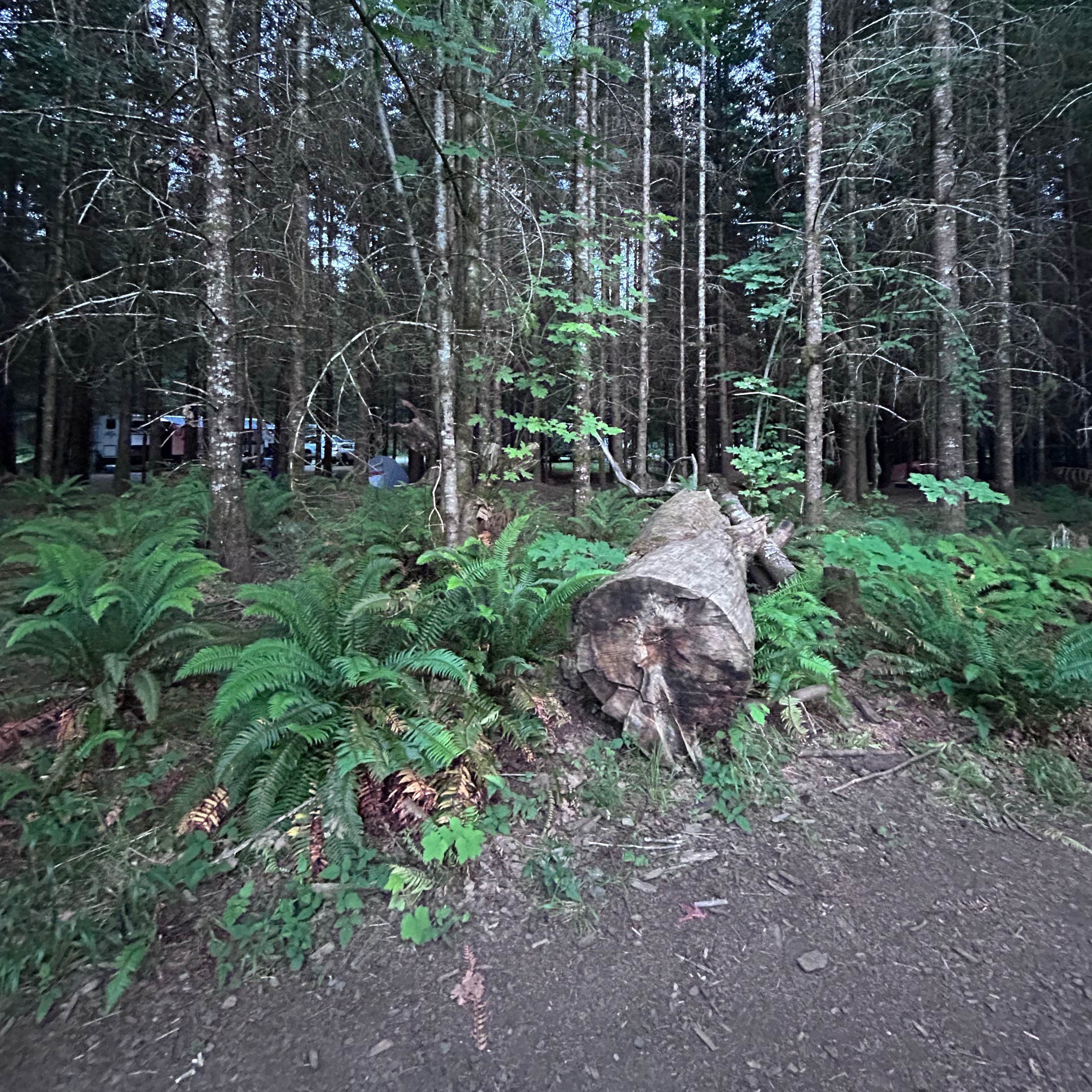 River Bend County Park Camping | Cascadia, Oregon