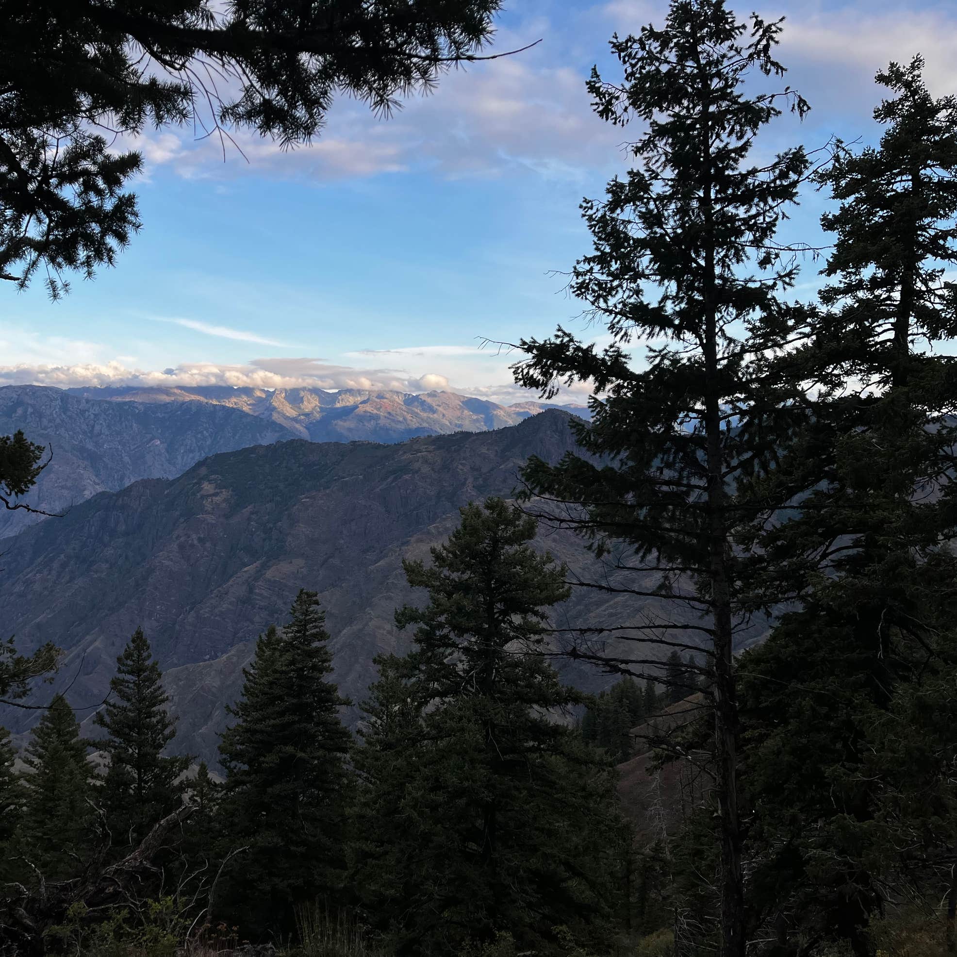 Saddle Creek Campground | Imnaha, Oregon