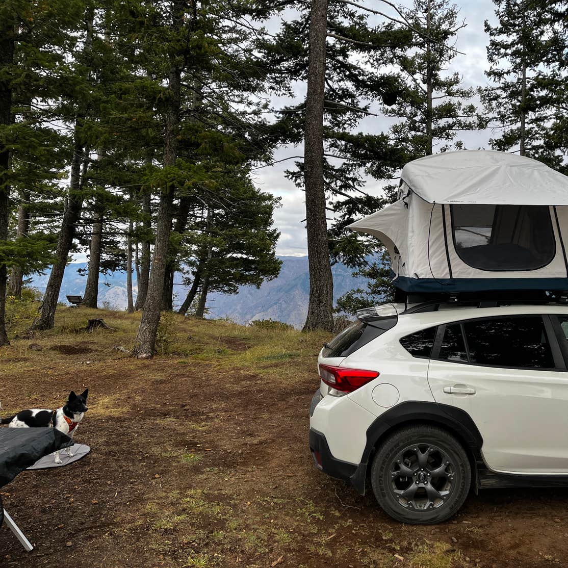 Saddle Creek Campground | Imnaha, OR