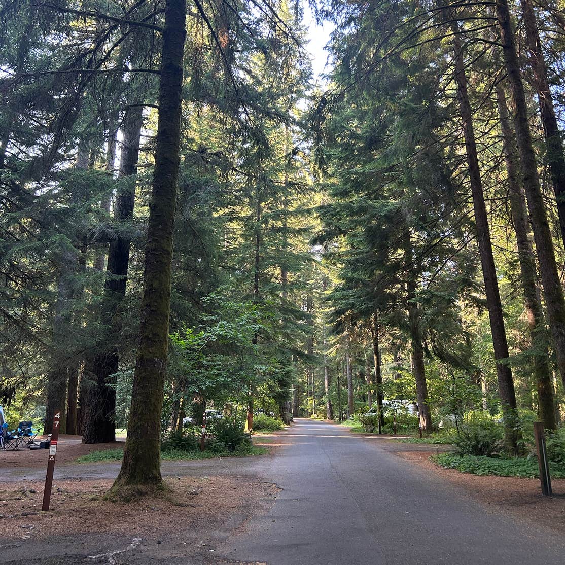 Silver Falls State Park Campground | Mehama, Oregon