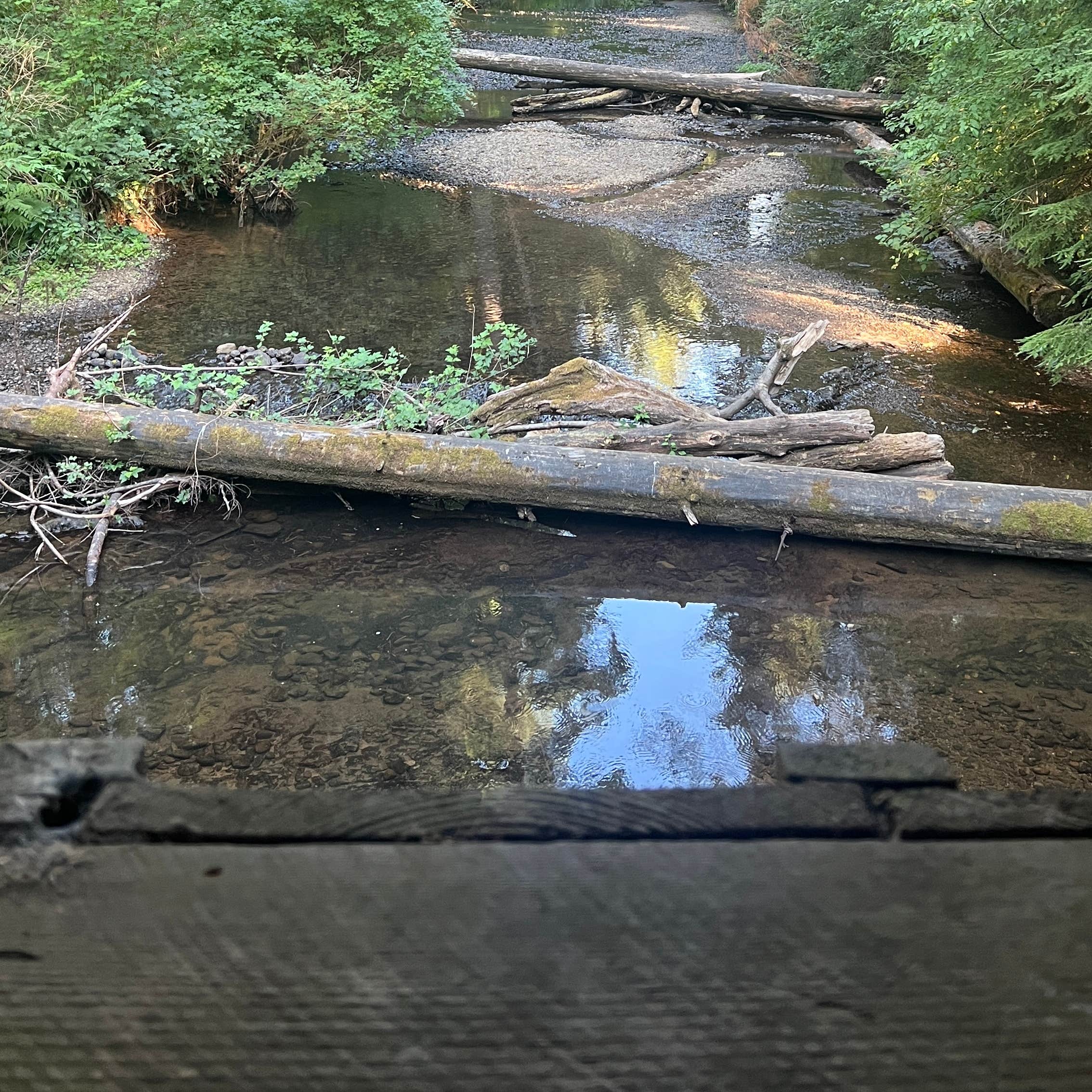 Silver Falls State Park Campground | Mehama, Oregon