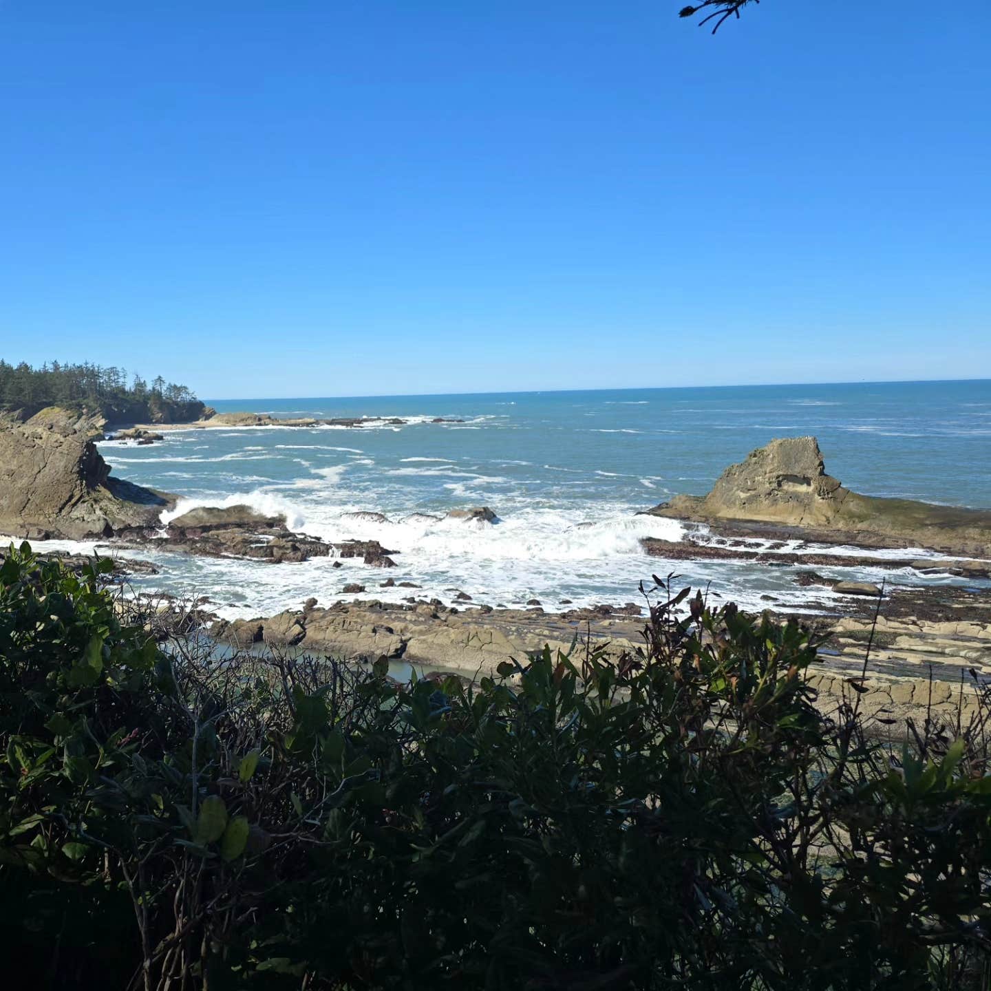 Sunset Bay State Park Campground | Coos Bay, Oregon