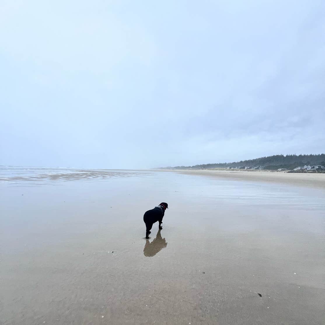 Tillicum Beach Campground | Waldport, Oregon