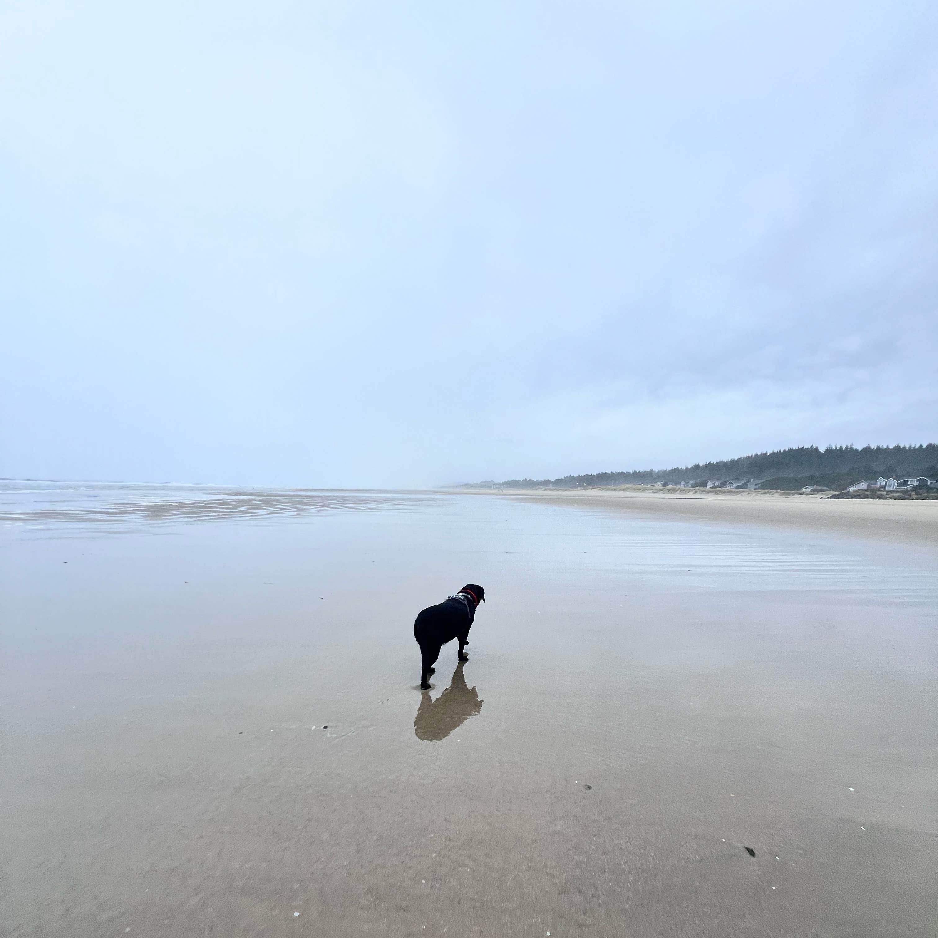 Tillicum Beach Campground | Waldport, Oregon
