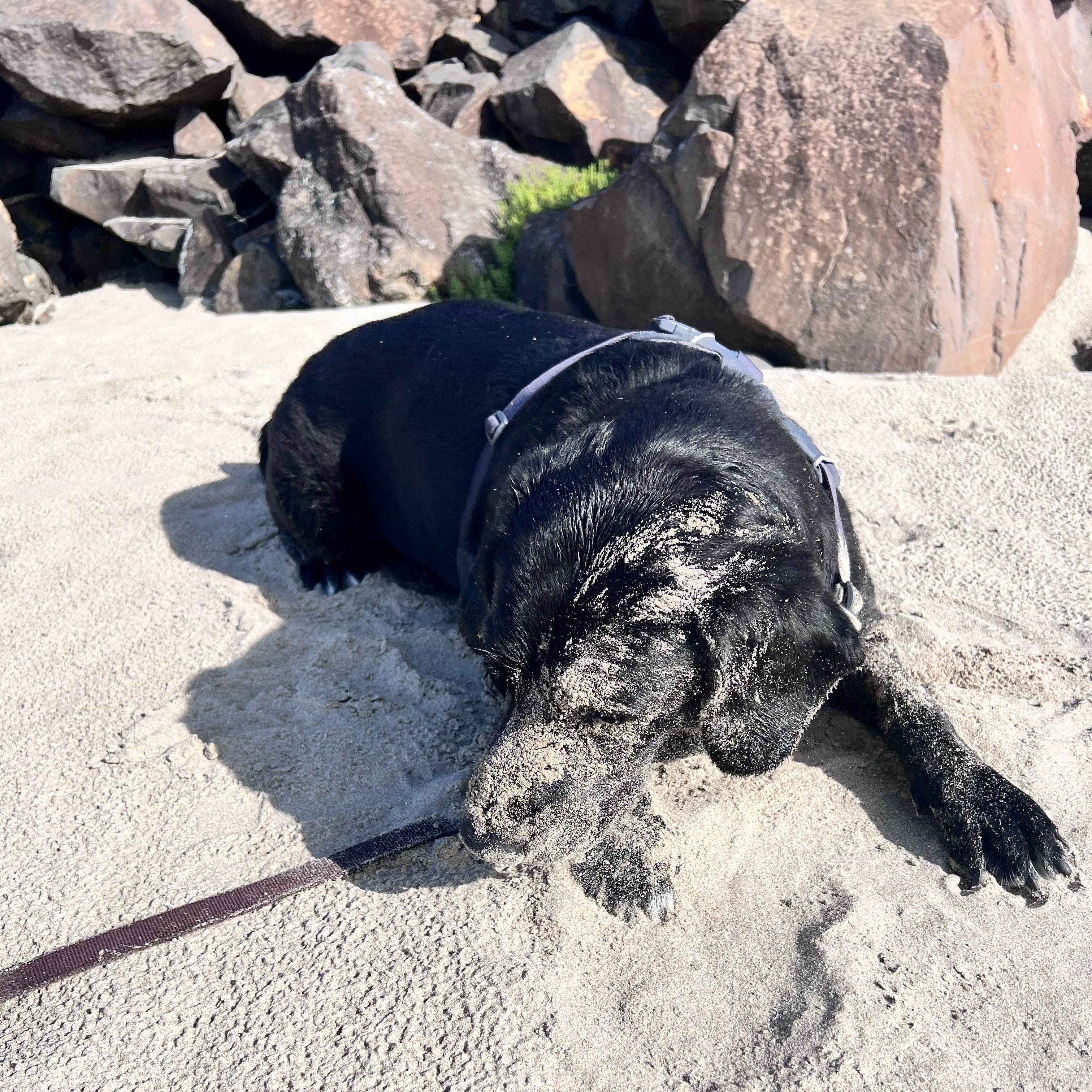 Tillicum Beach Campground | Waldport, Oregon