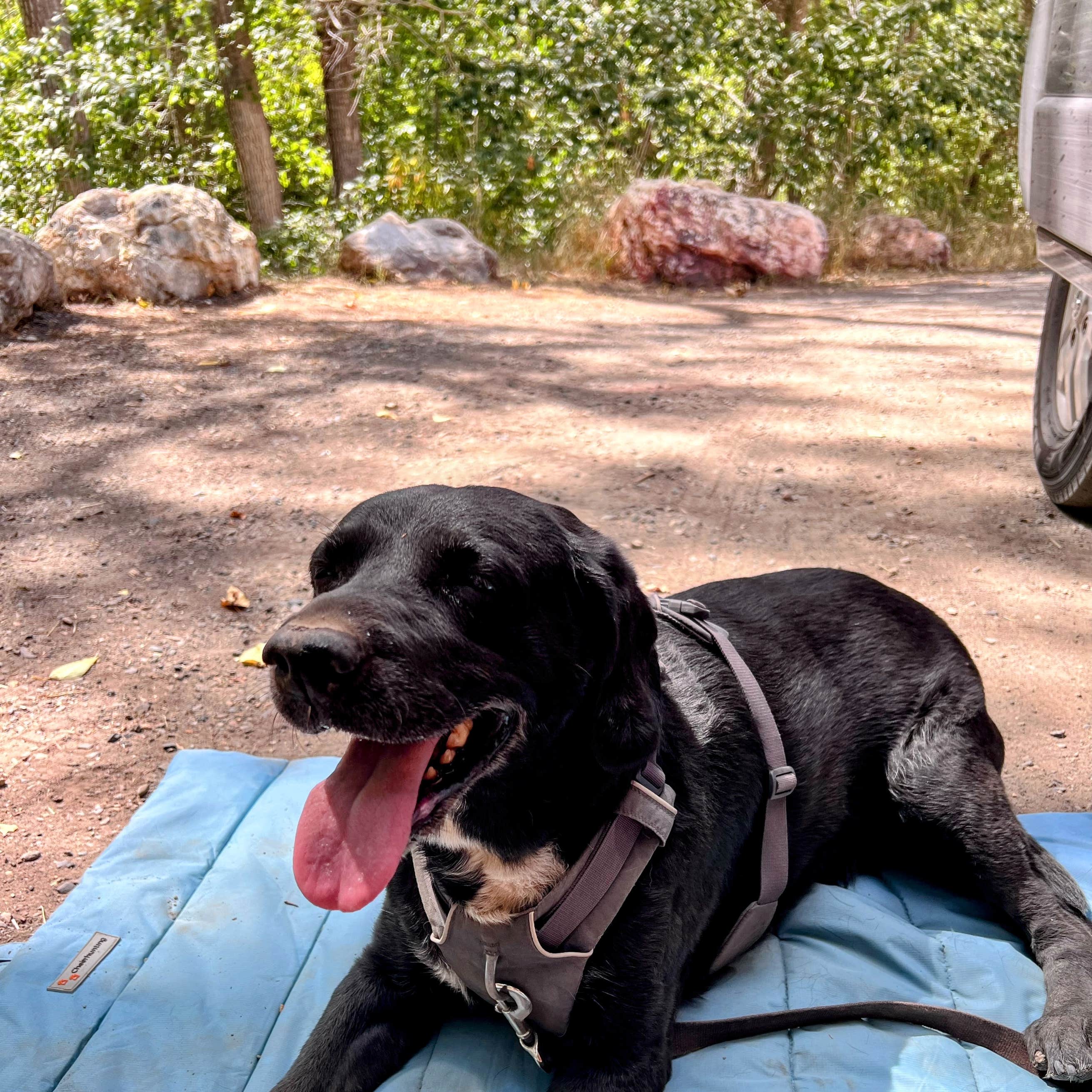 Tillicum Beach Campground | Waldport, Oregon
