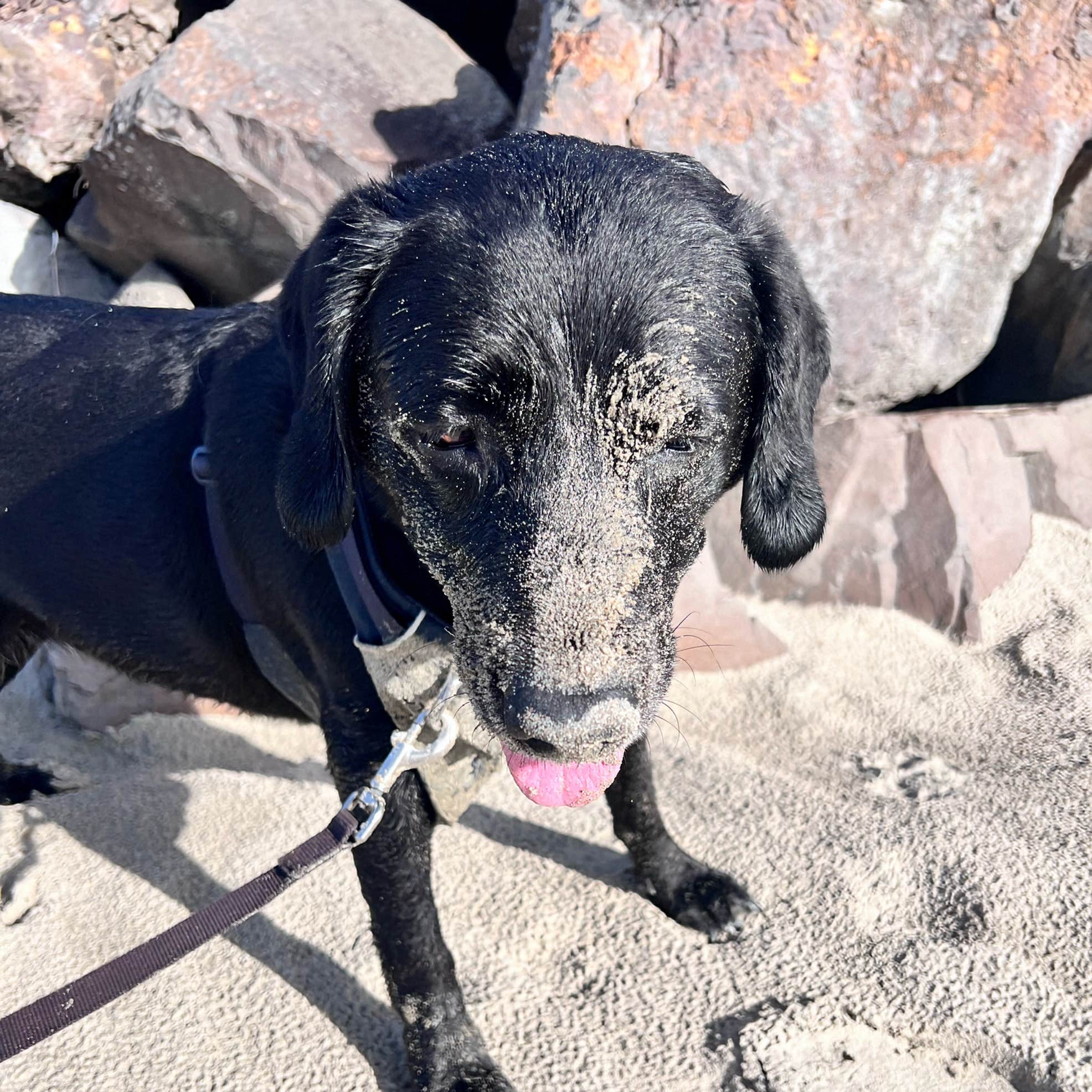 Tillicum Beach Campground | Waldport, Oregon