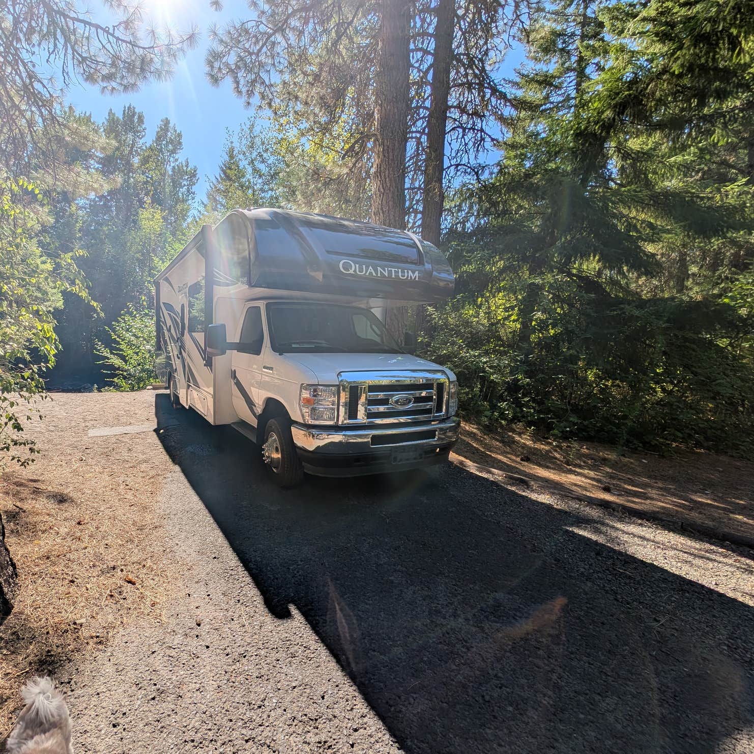 Toll Bridge Park Campground | Hood River, Oregon