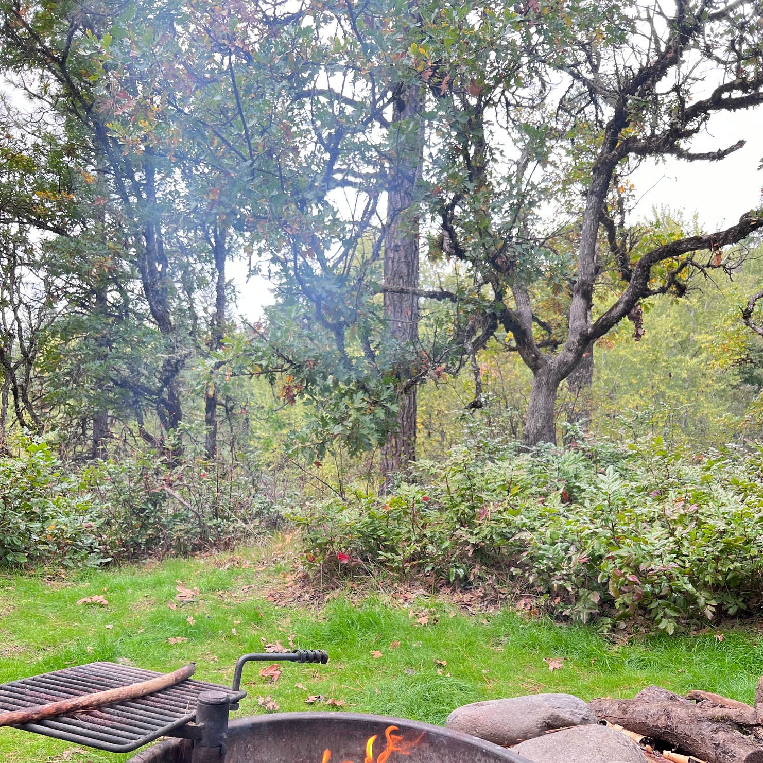 Tucker Park Campground | Hood River, OR