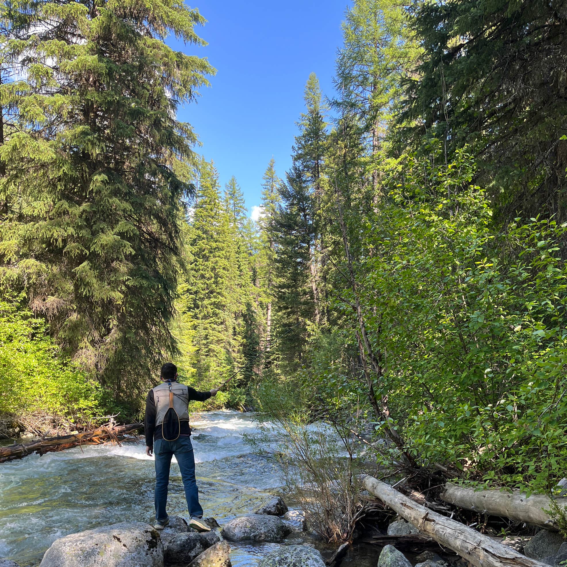 Williamson Campground | Enterprise, Oregon