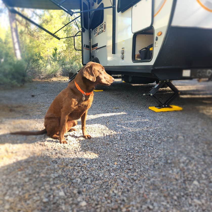 Williamson River Campground | Chiloquin, Oregon
