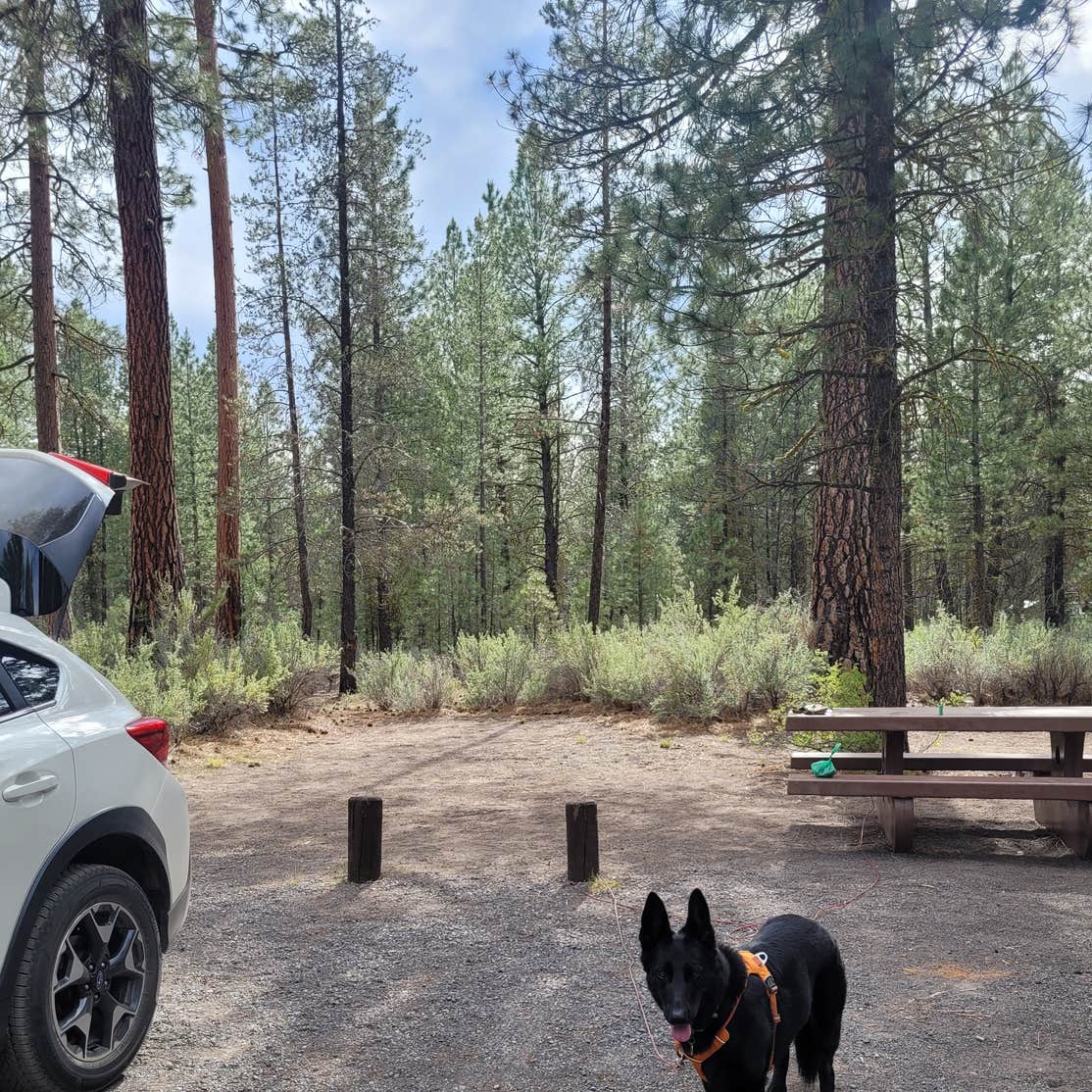Williamson River Campground | Chiloquin, Oregon