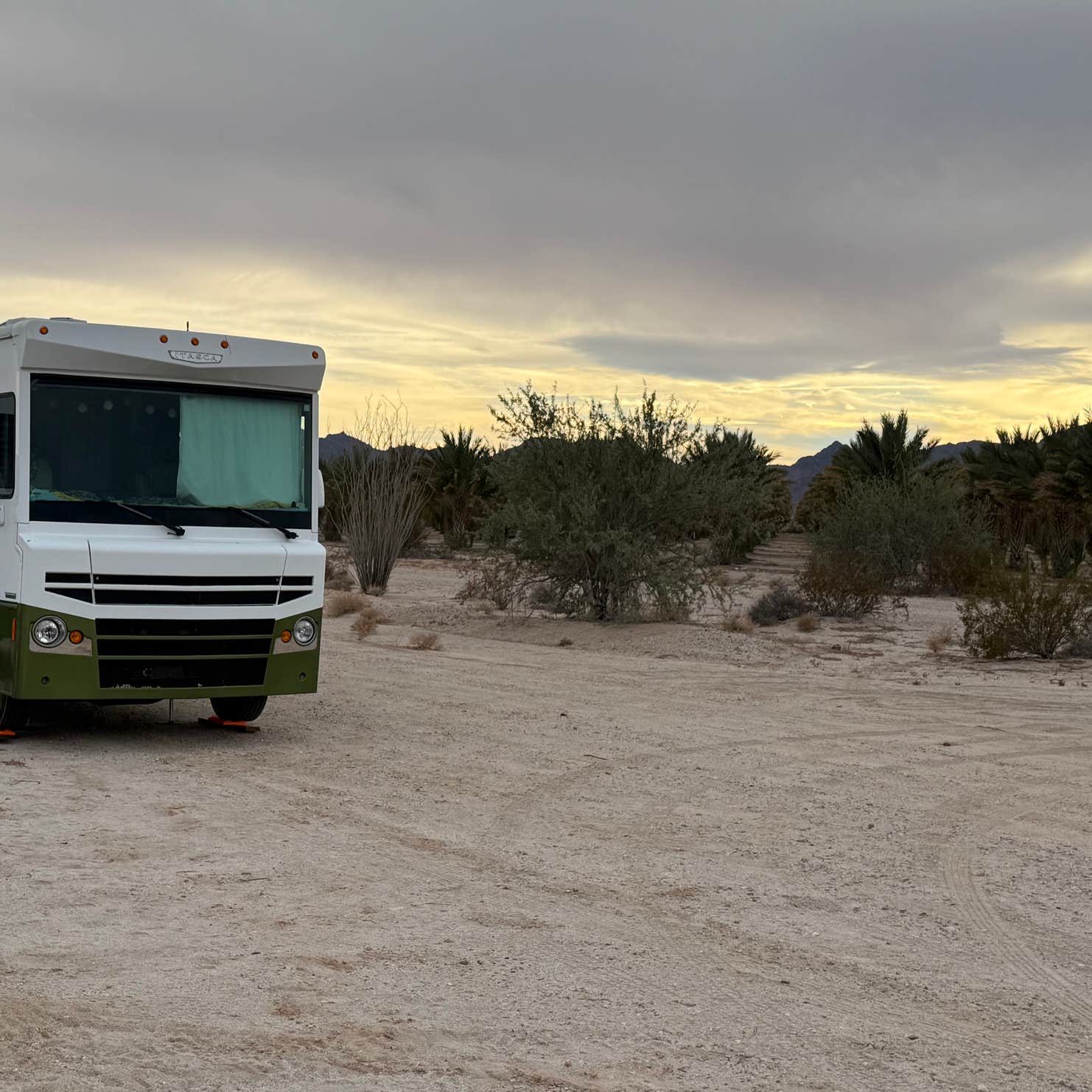 Organic Date Farm Camping | Wellton, Arizona
