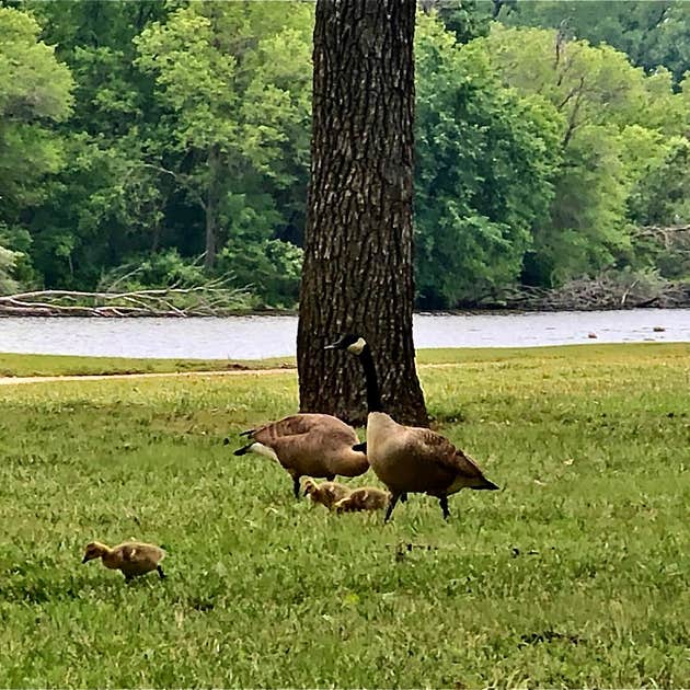 Ottawa SFL Camping | Minneapolis, Kansas